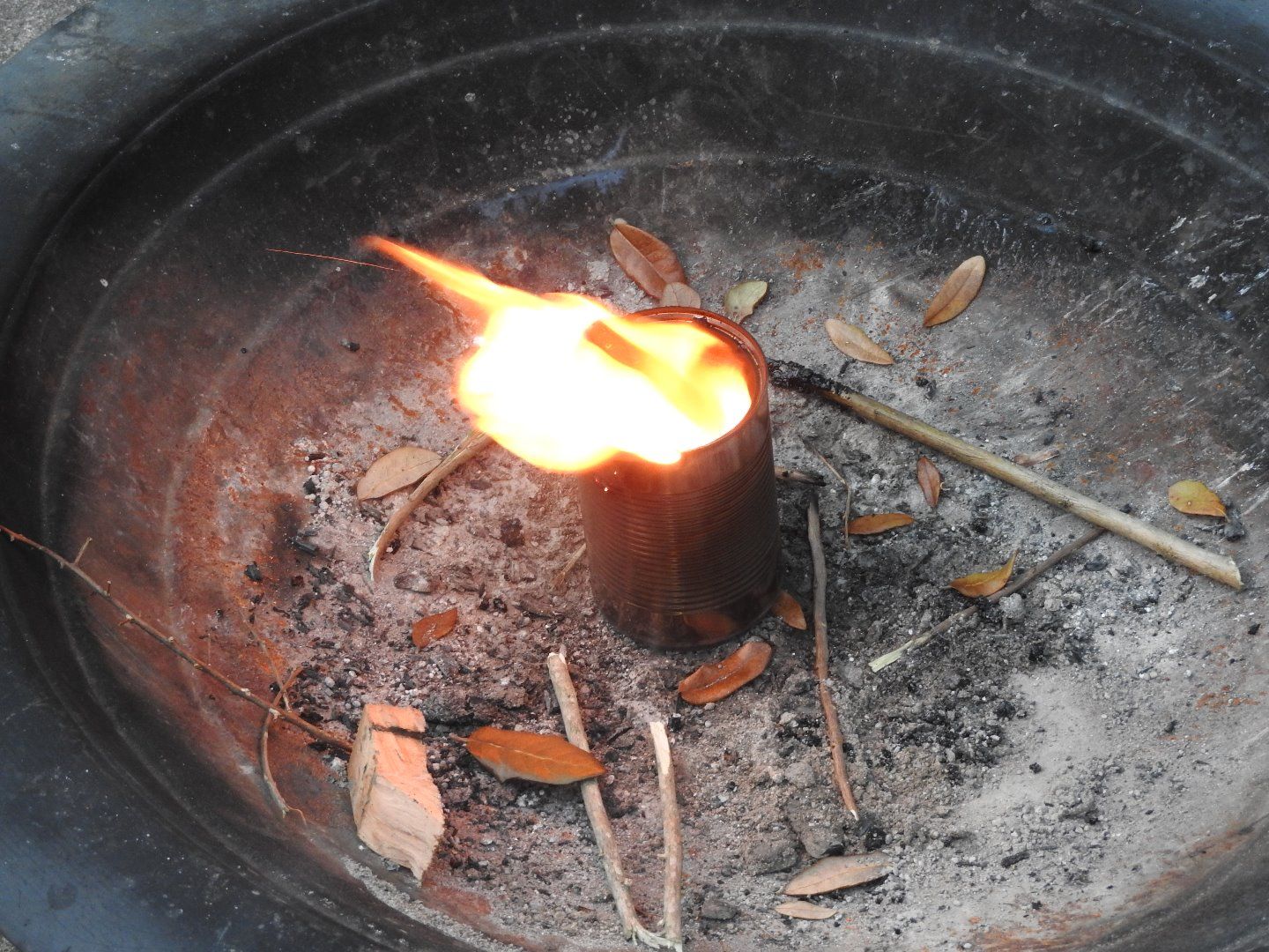 Sap Fire Starter : 8 Steps (with Pictures) - Instructables
