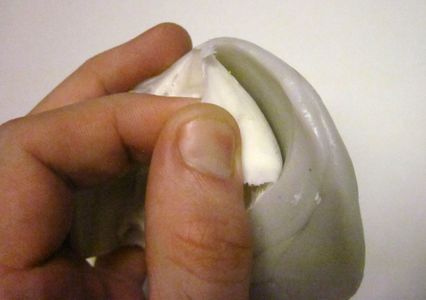 Instamorph and Oogoo, Together at Last. : 6 Steps (with Pictures ...