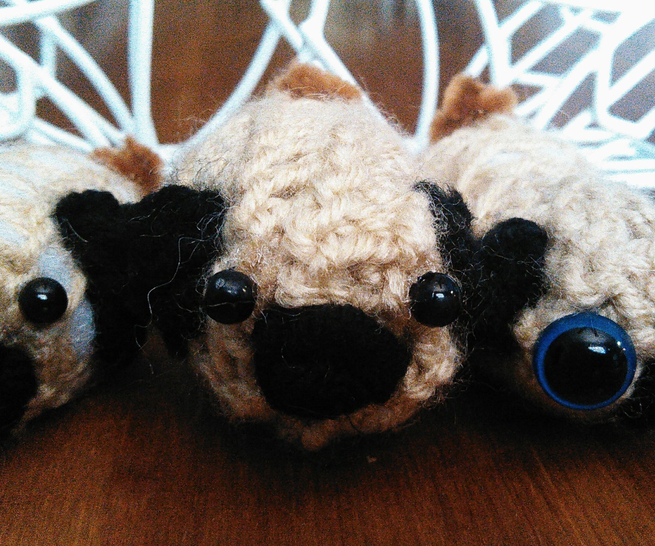 Pugtatoes : 6 Steps (with Pictures) - Instructables