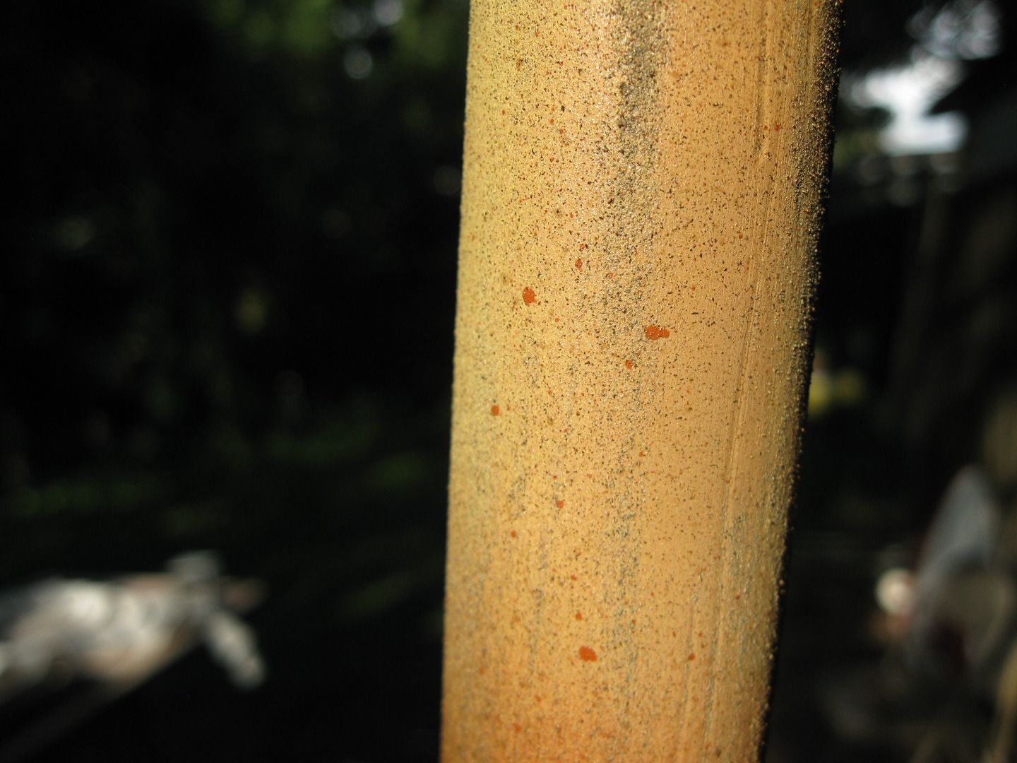 Making Faux PVC Bamboo : 3 Steps (with Pictures) - Instructables
