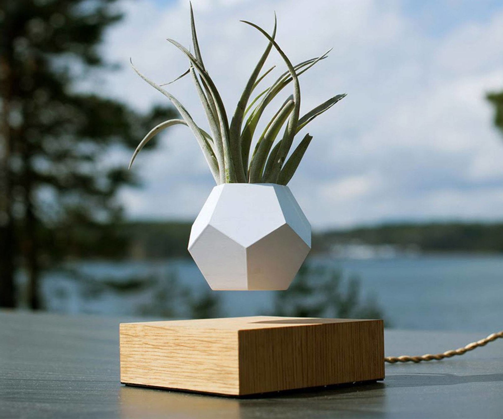 DIY Levitating Plant! : 7 Steps (with Pictures) - Instructables