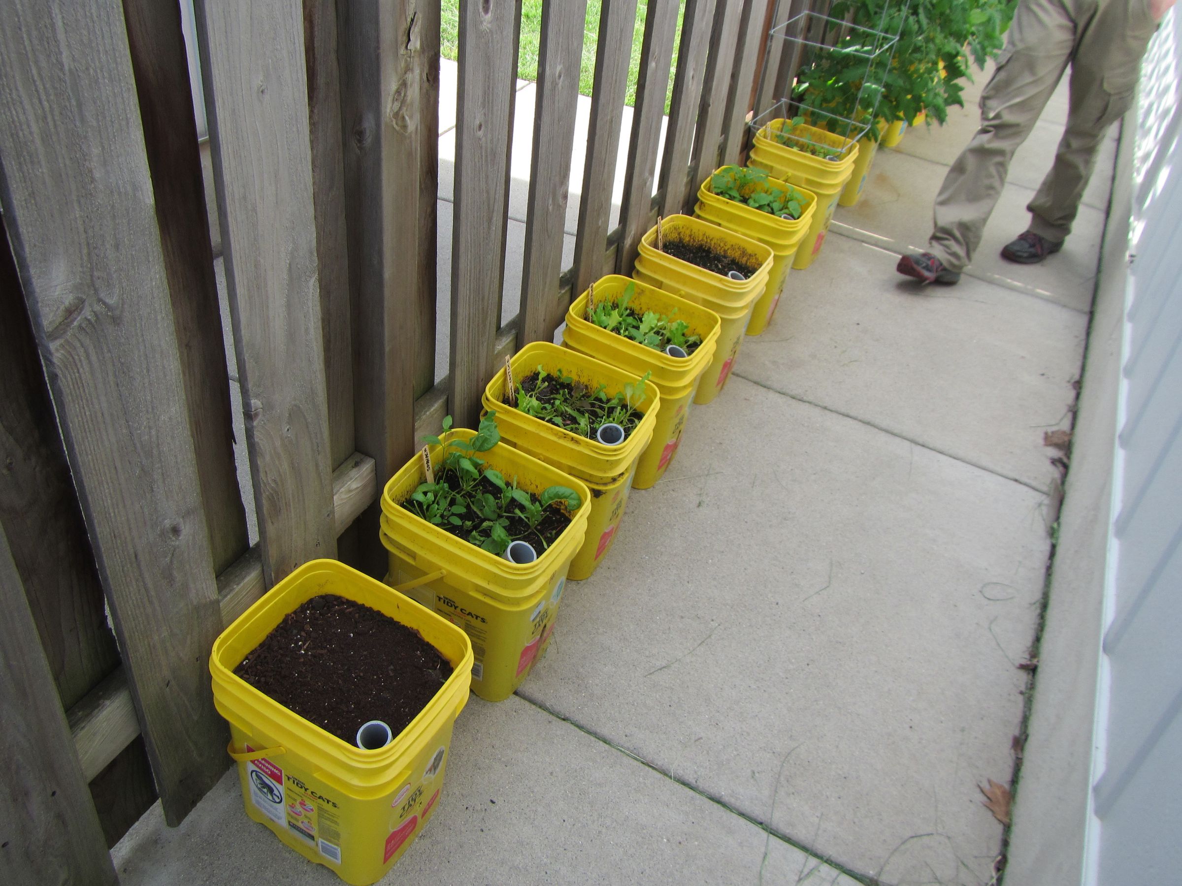 Self-watering Container Garden : 5 Steps (with Pictures) - Instructables
