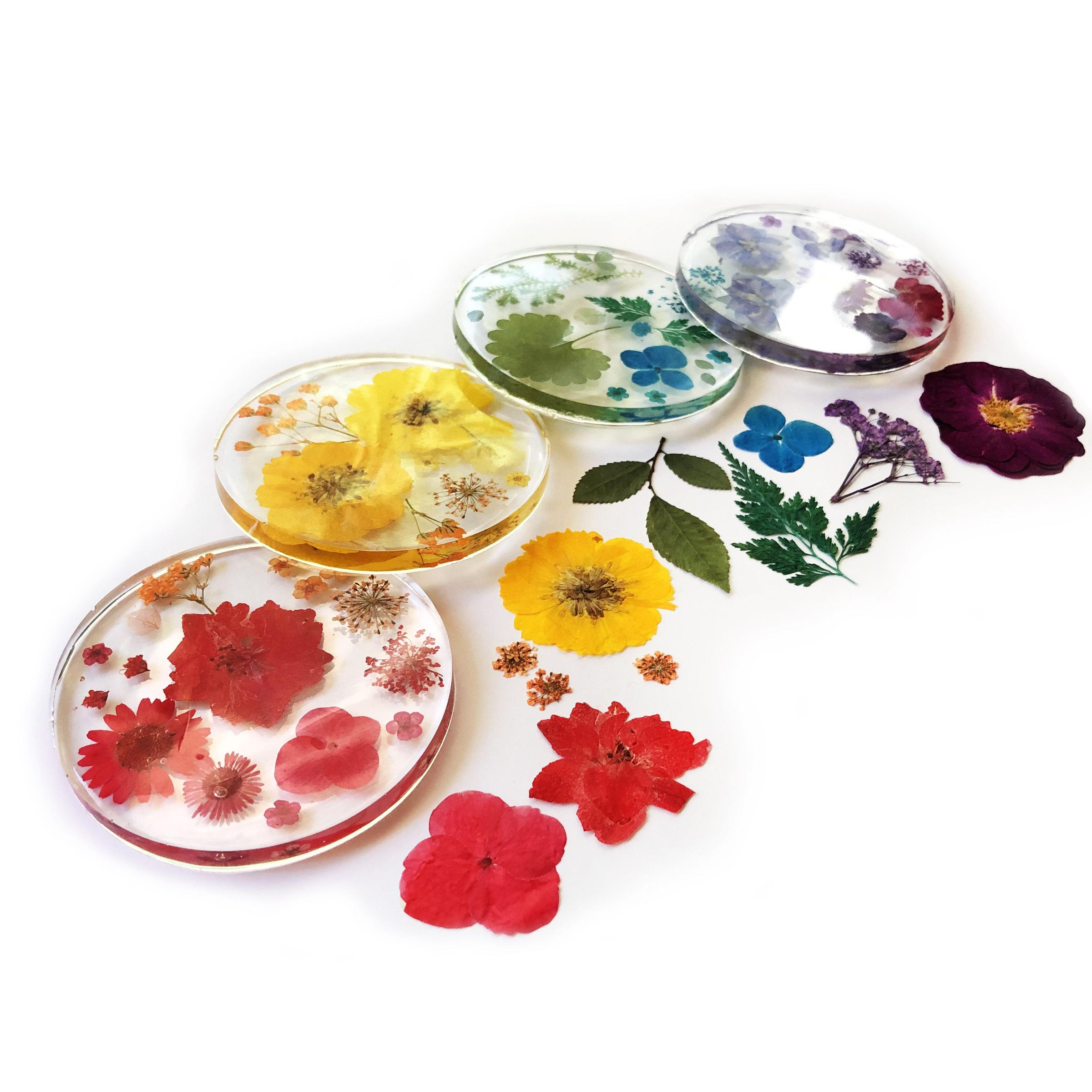 Ultimate Rainbow Dried Flowers & Resin Coaster Set : 11 Steps (with ...