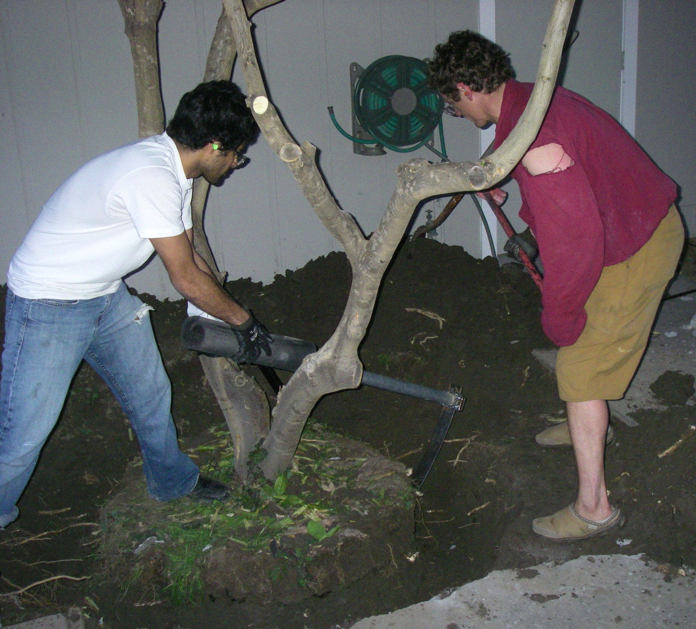 How to Move a Tree, Vehicle and A-frame Method : 17 Steps (with ...