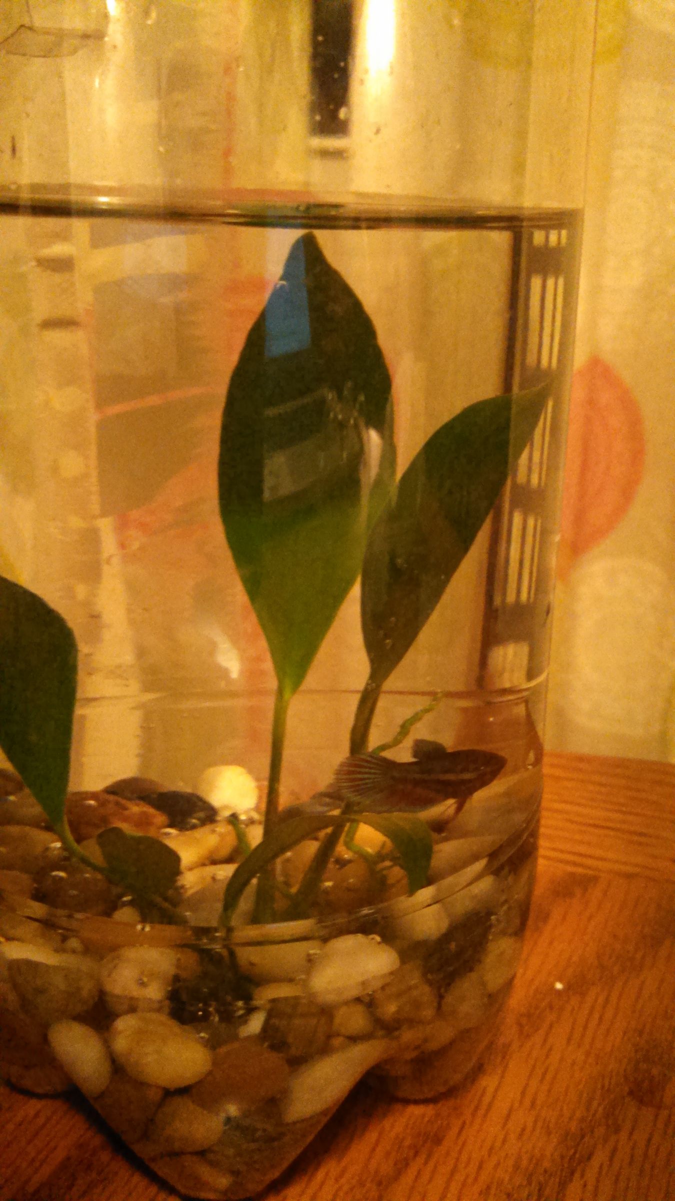 Eco-Column : 8 Steps (with Pictures) - Instructables
