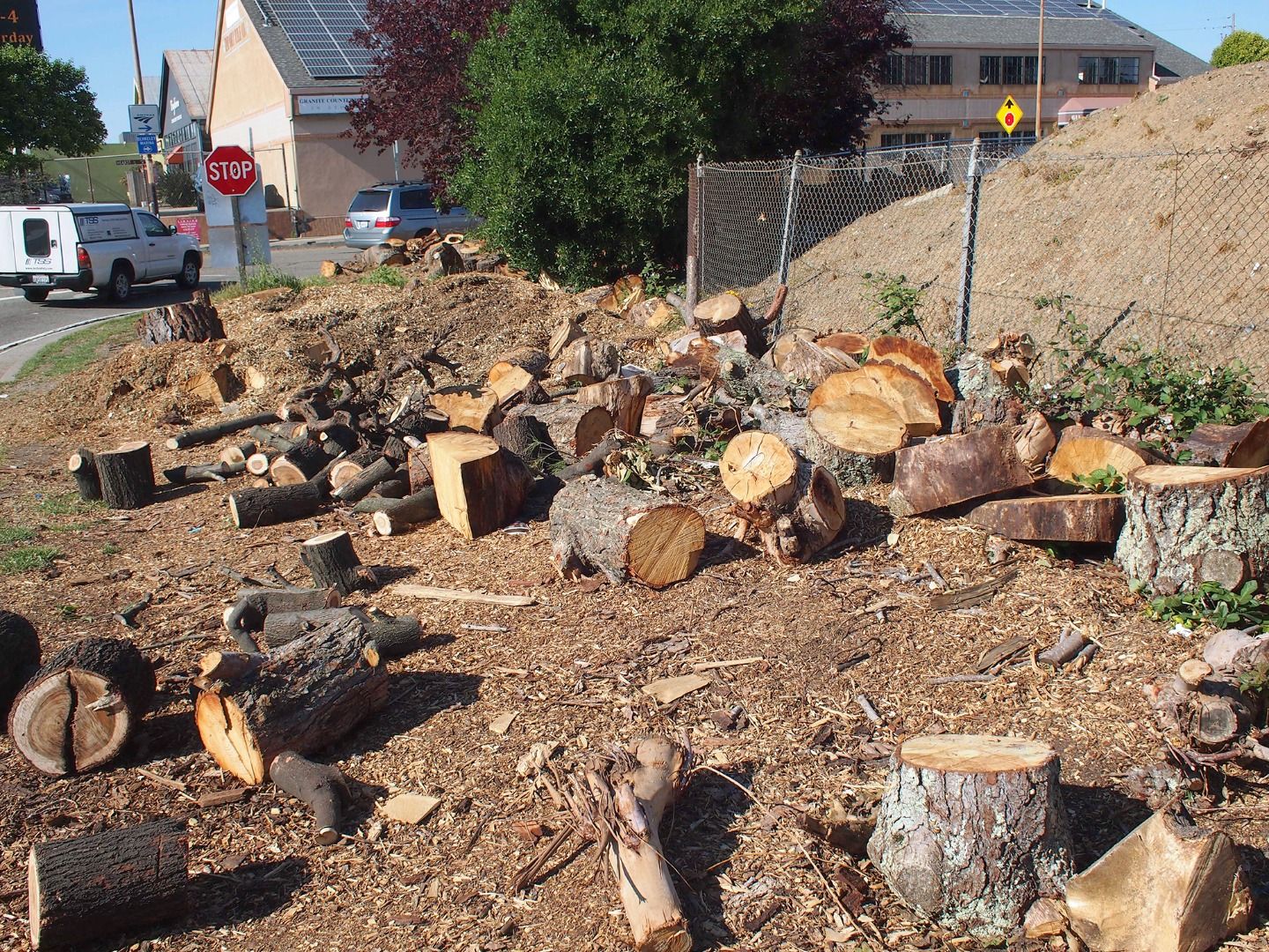 Log Card Box : 36 Steps (with Pictures) - Instructables