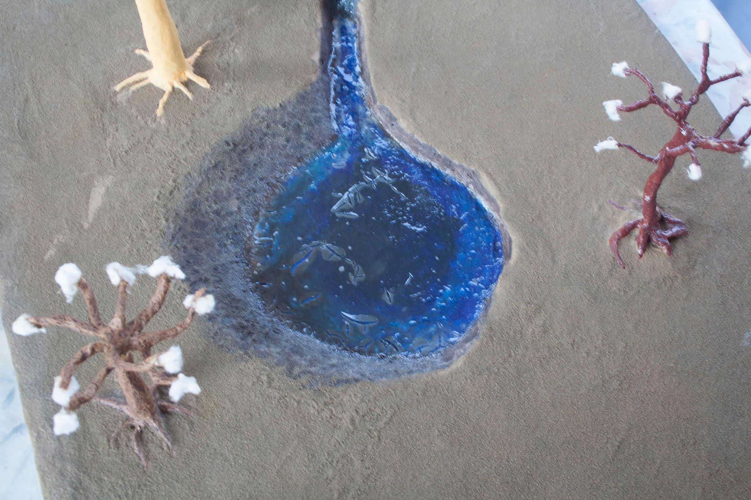 African Savannah Diorama : 21 Steps (with Pictures) - Instructables