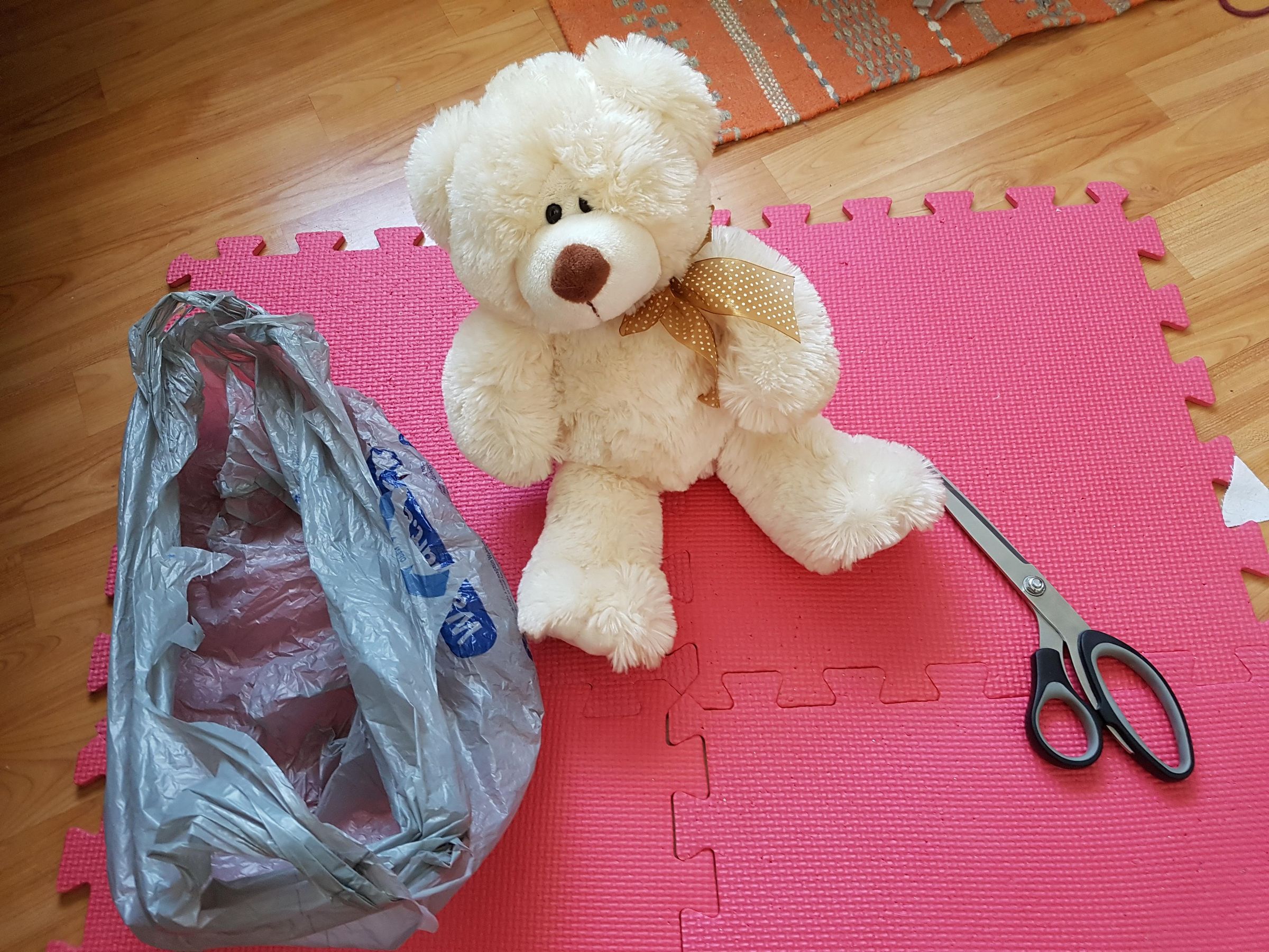 Turn Your Pet Into a Real Life Teddy Bear : 7 Steps (with Pictures ...