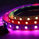 How to Make Arduino Piggy Bank : 5 Steps - Instructables