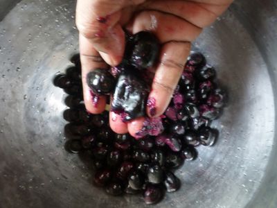 How to Make Jamun Wine : 8 Steps (with Pictures) - Instructables
