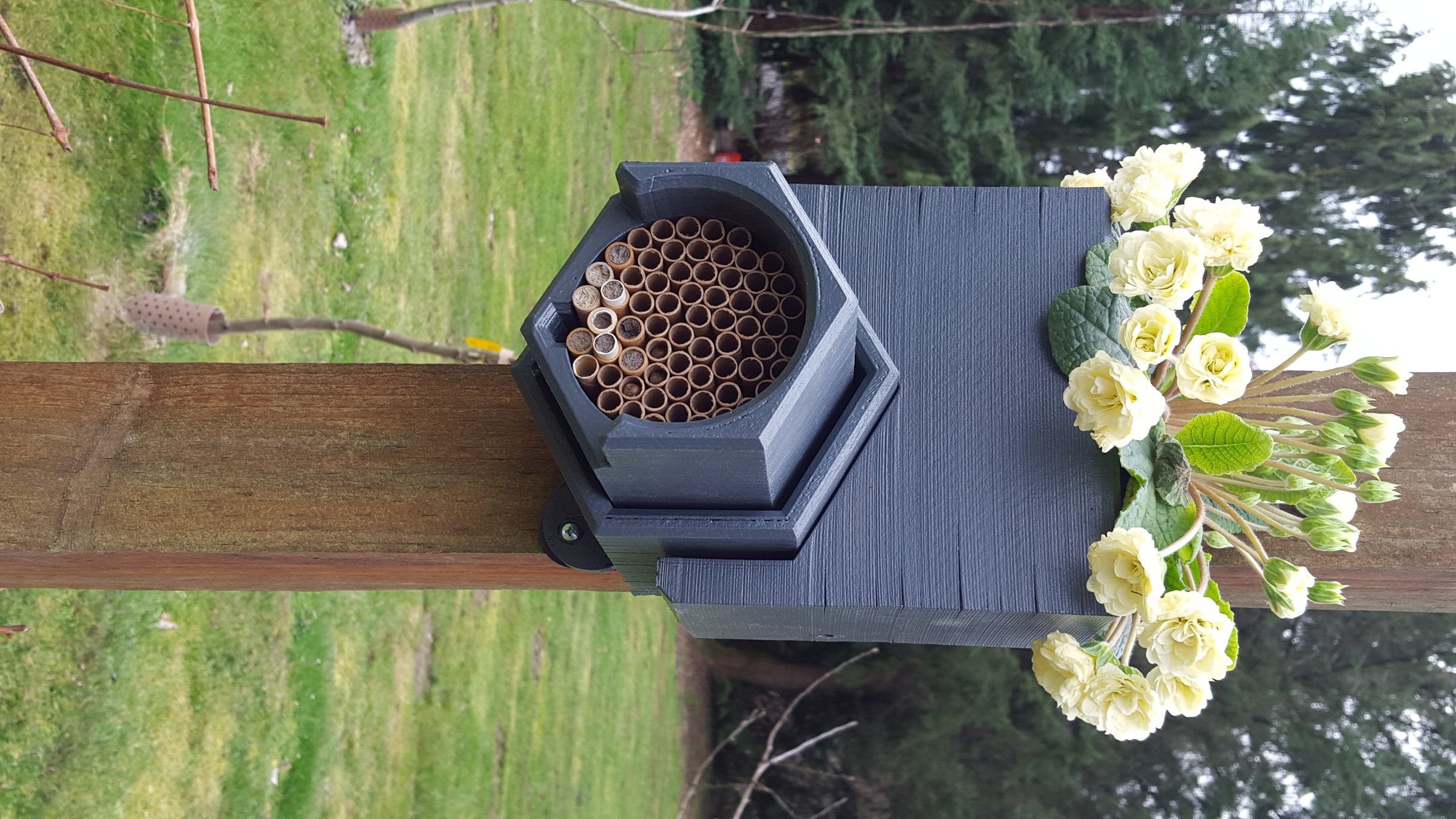 Mason Bee Hive : 3 Steps (with Pictures) - Instructables