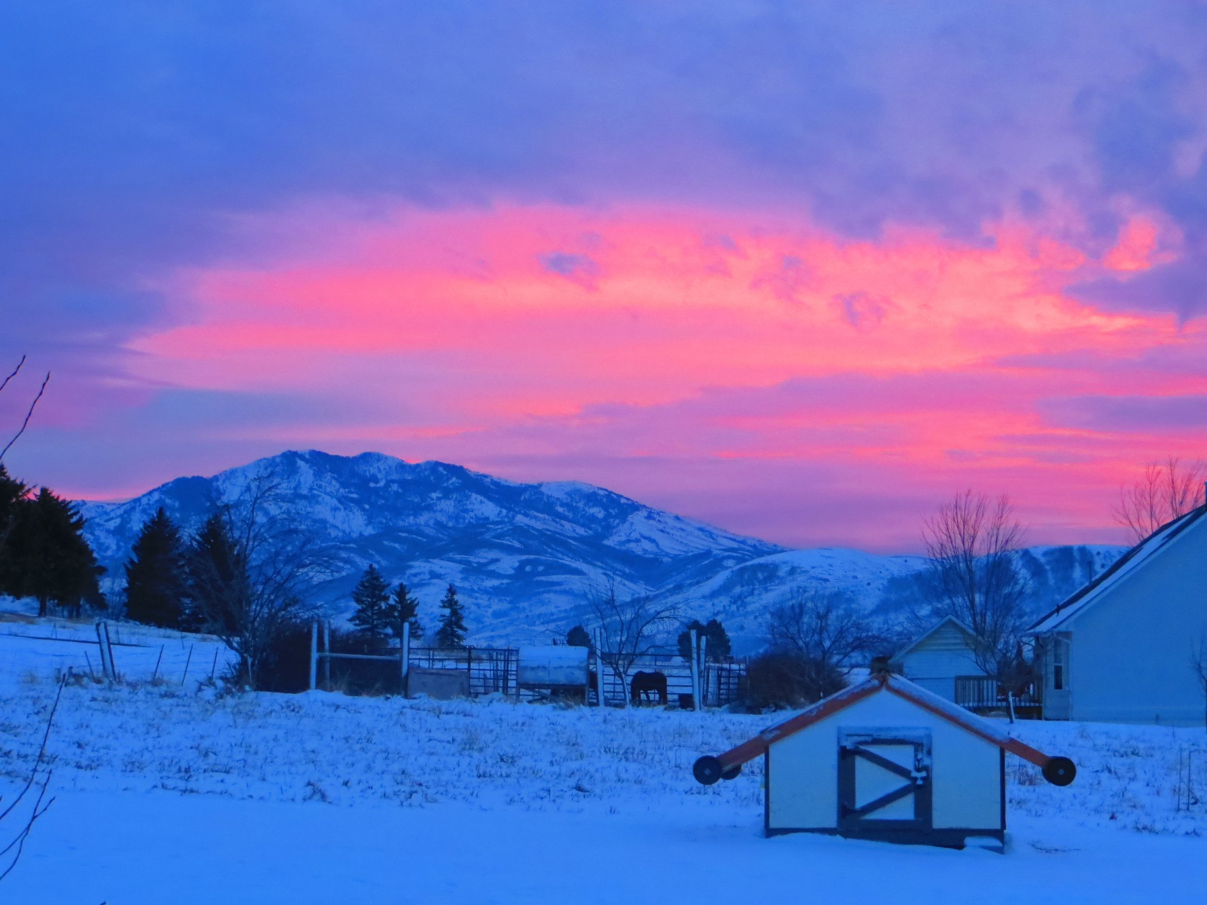 A Tiny Telescope Observatory : 15 Steps (with Pictures) - Instructables