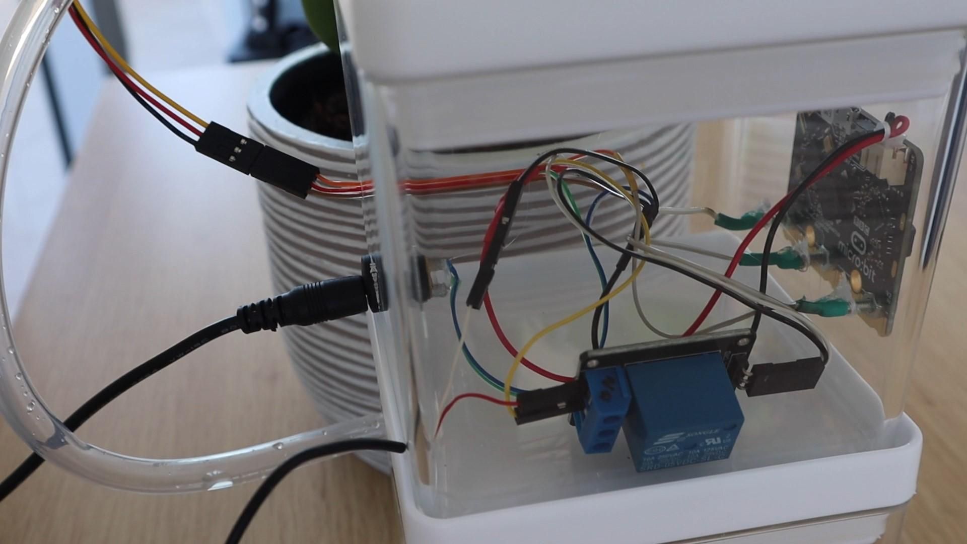 Automatic Plant Watering System Using a Micro:bit : 8 Steps (with Pictures) - Instructables
