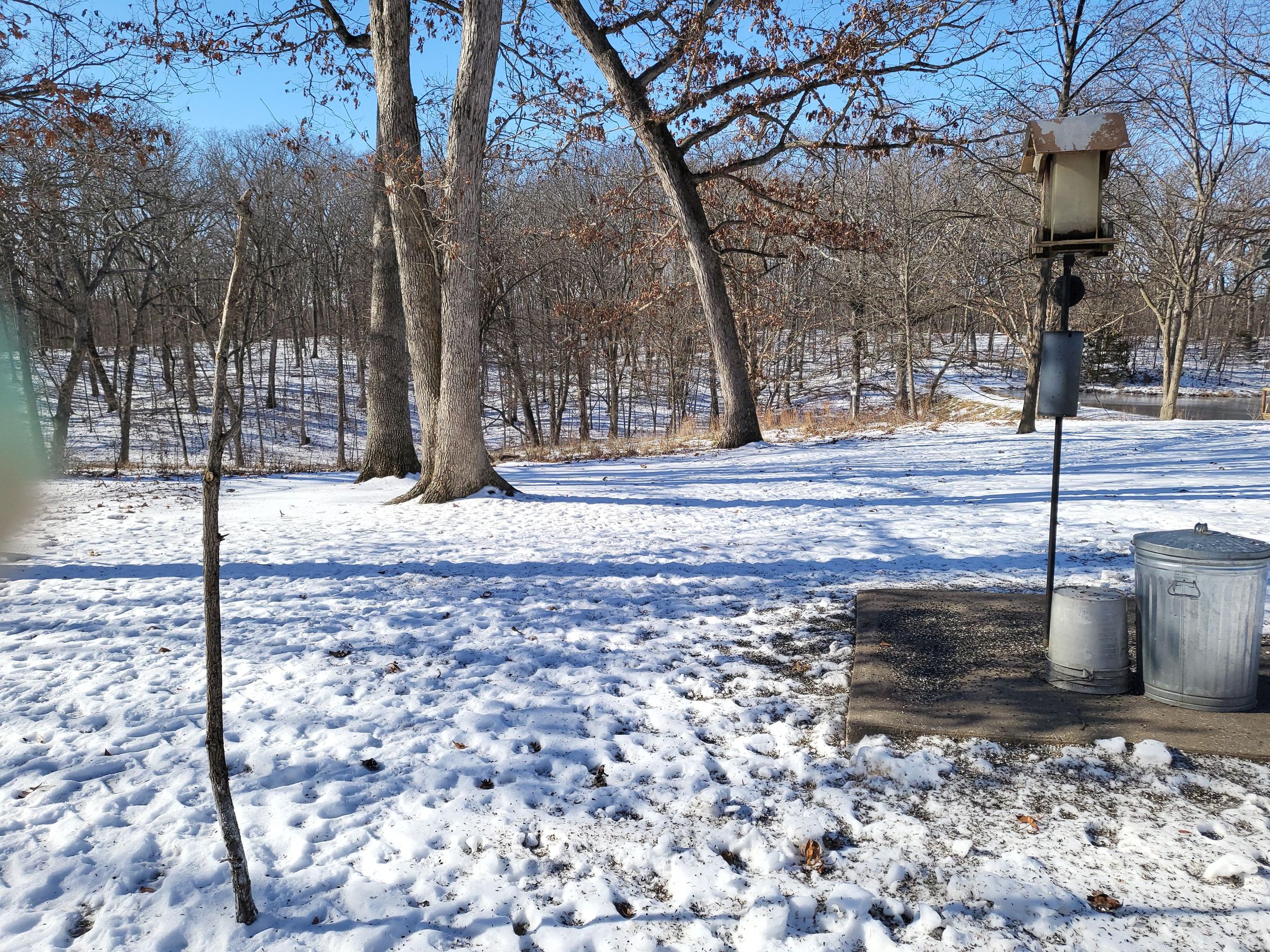 How to Photograph Birds in Flight the Easy Way (with Pictures ...