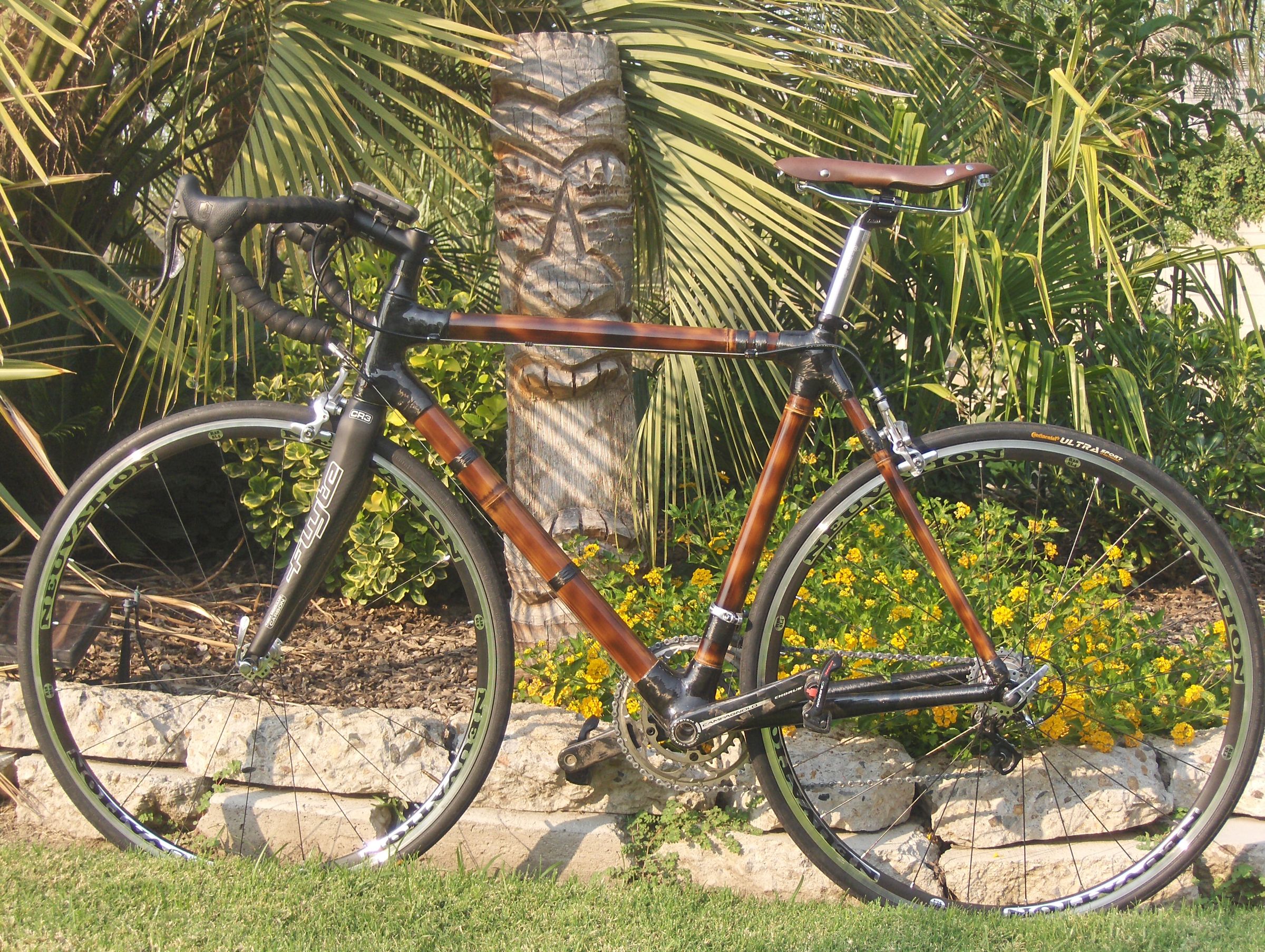 Bamboo Bike #2 : 14 Steps (with Pictures) - Instructables