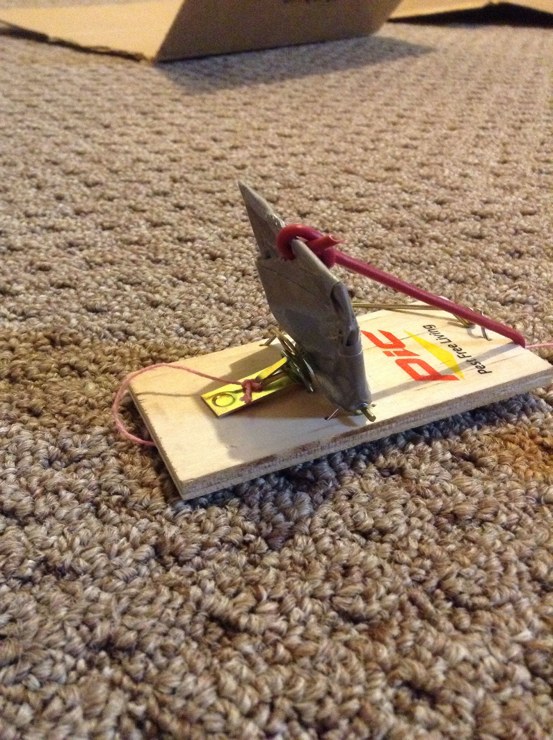 Catapult Mouse Trap : 5 Steps - Instructables