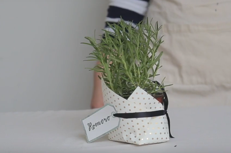 3 Ways to Wrap Potted Plants : 3 Steps (with Pictures) - Instructables