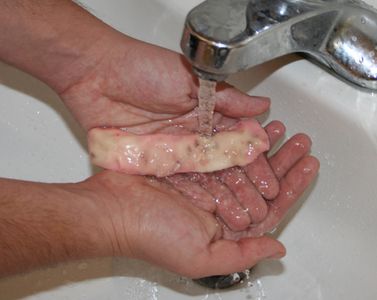 How to Make Bacon Soap : 9 Steps (with Pictures) - Instructables