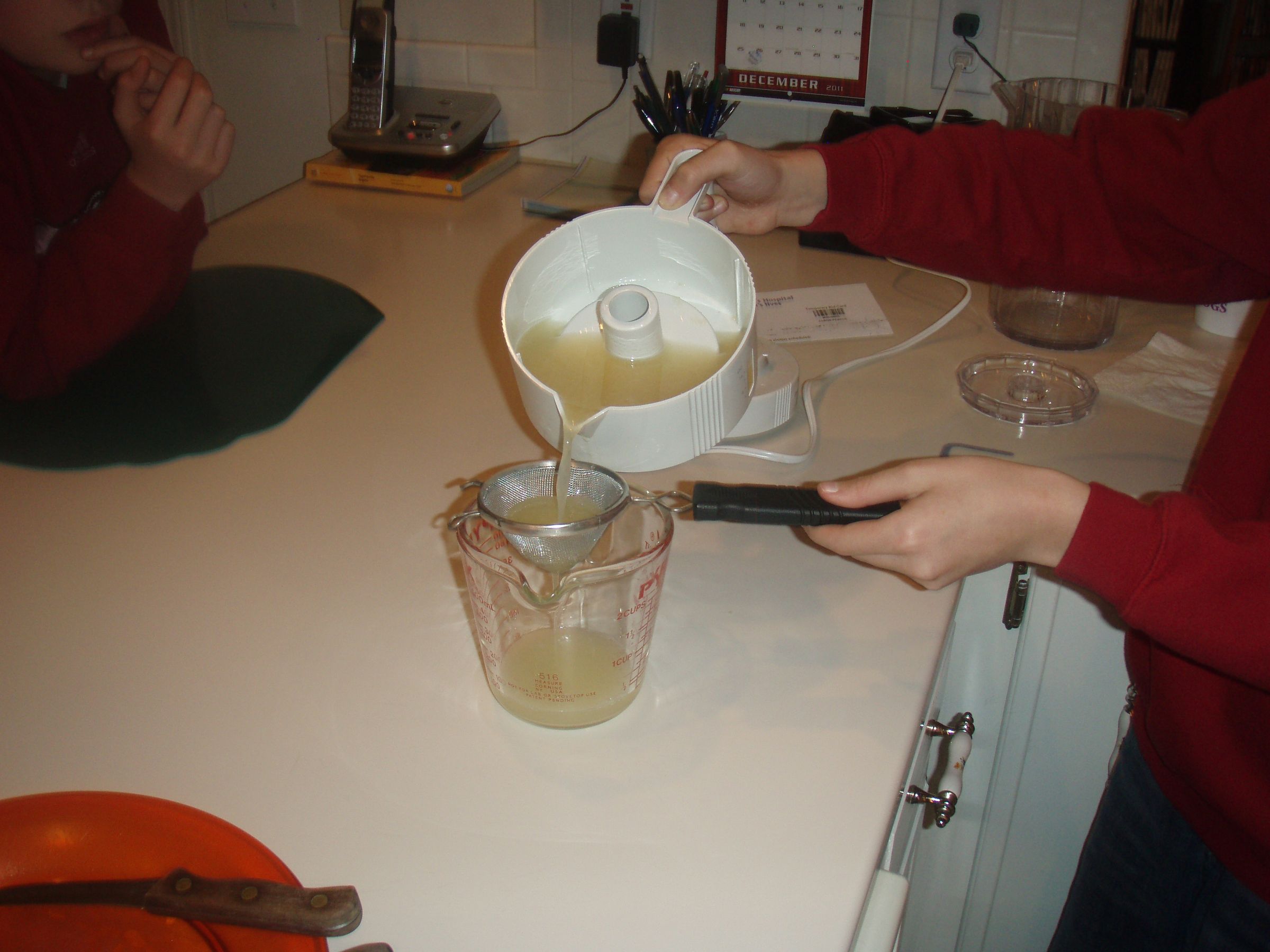 How to Make Lemonade : 5 Steps - Instructables