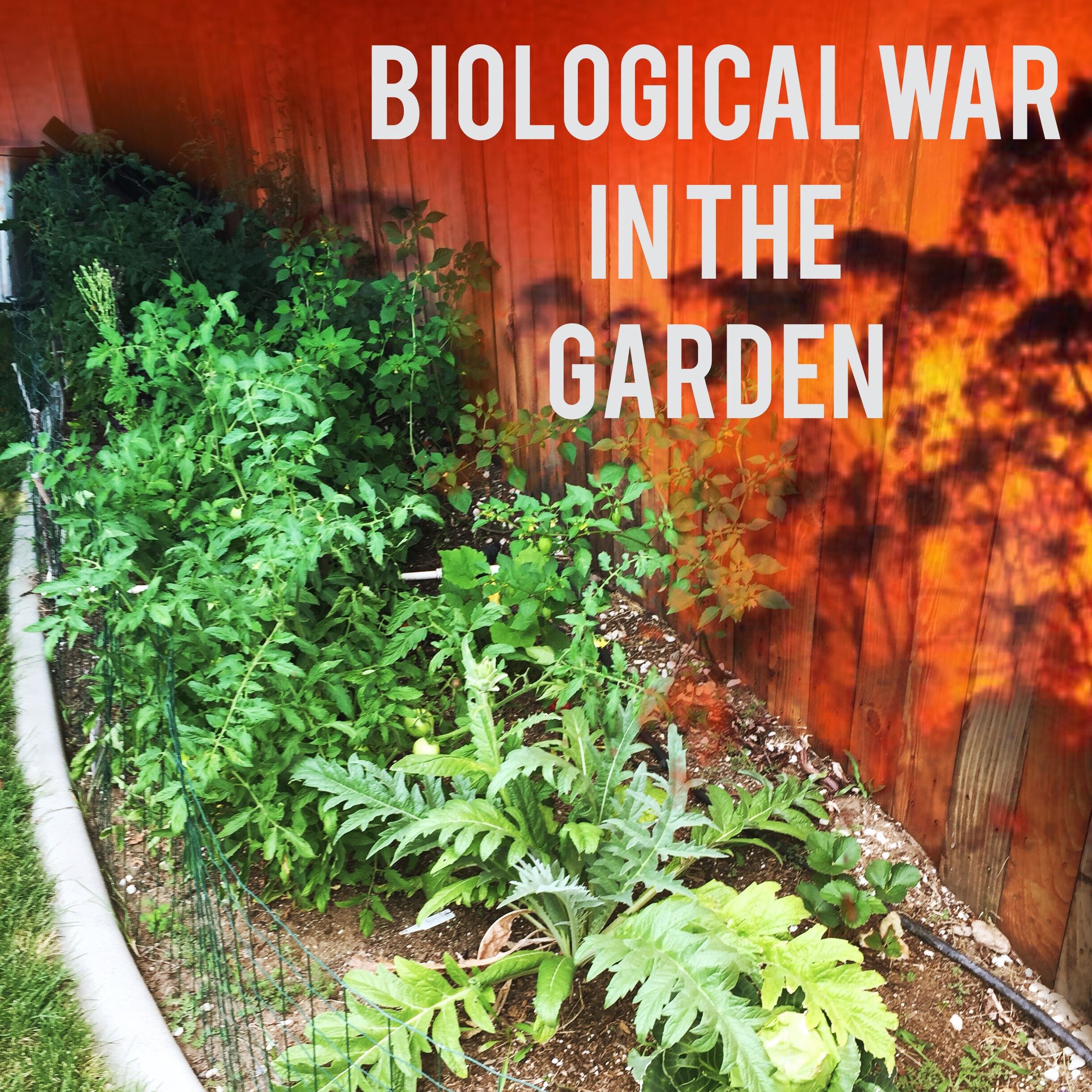 How To: Fight Biological War : 9 Steps - Instructables