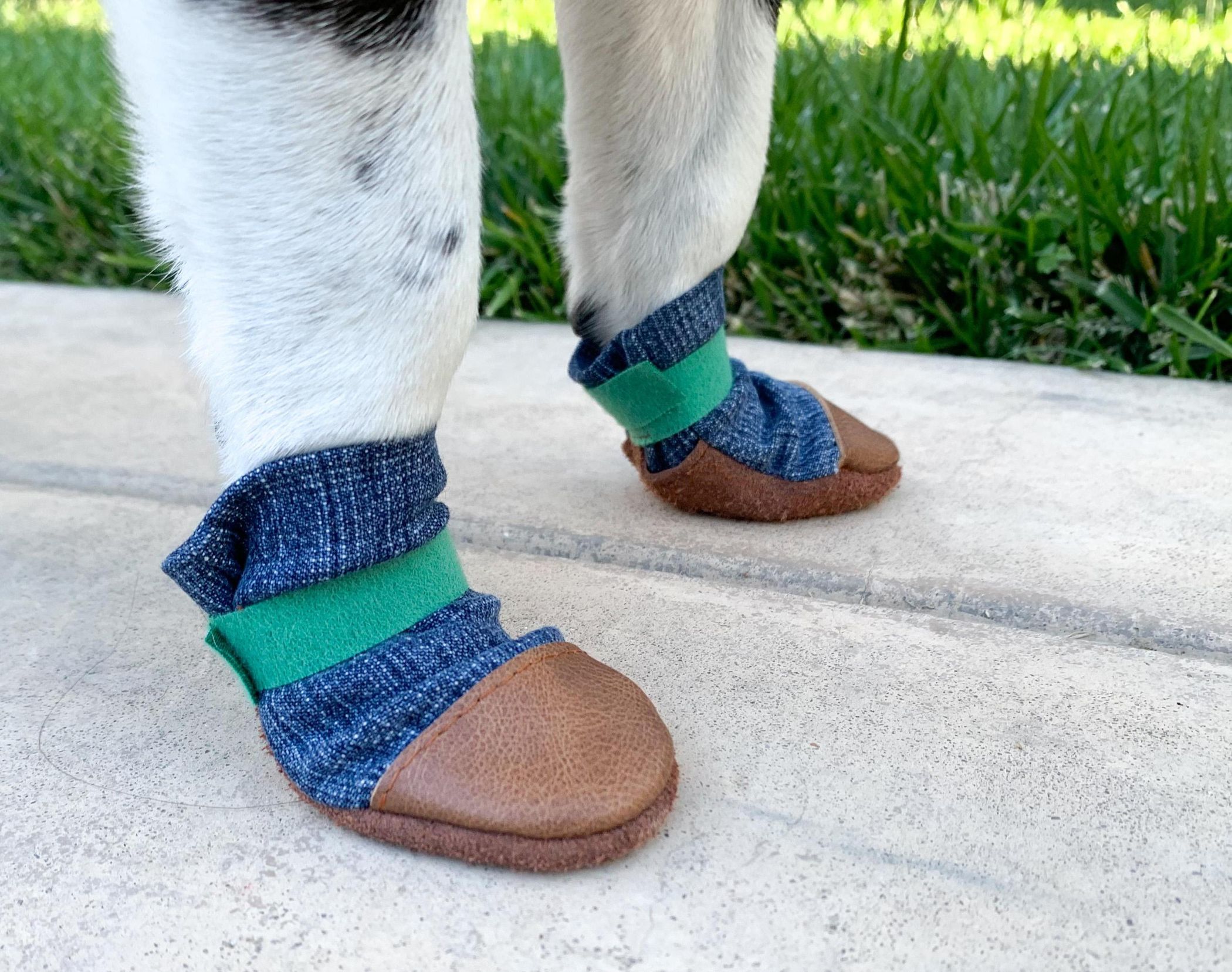 Dog Shoes : 9 Steps (with Pictures) - Instructables