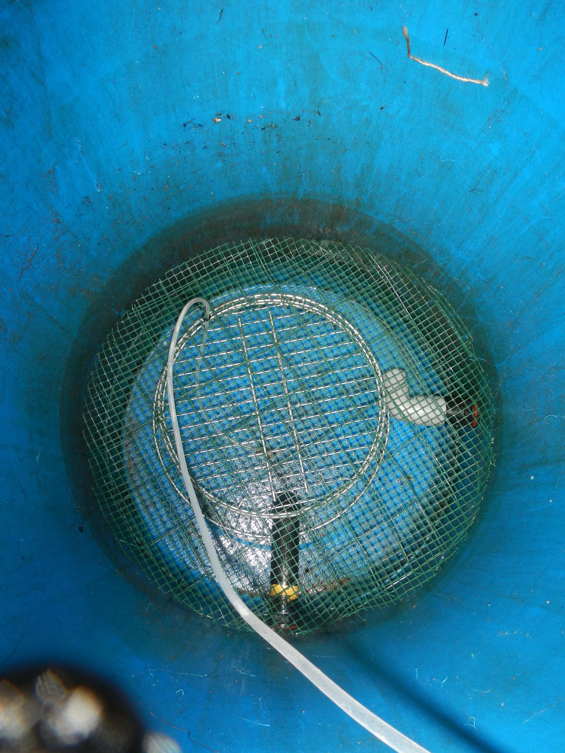 Nook Garden - Self Watering System (+ April Update) : 8 Steps (with ...