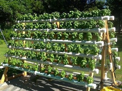 DIY Hydroponics - With Raspberry Pi : 5 Steps - Instructables