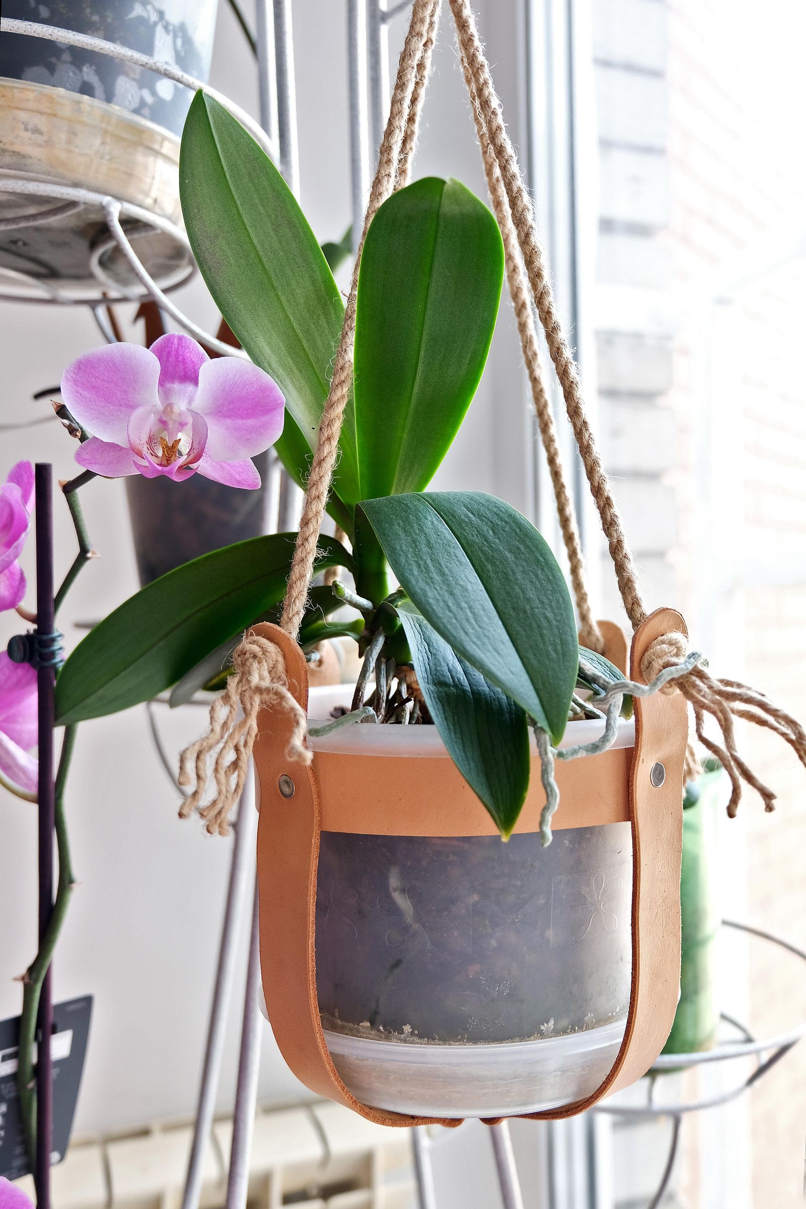 Hanging Leather Planter : 25 Steps (with Pictures) - Instructables