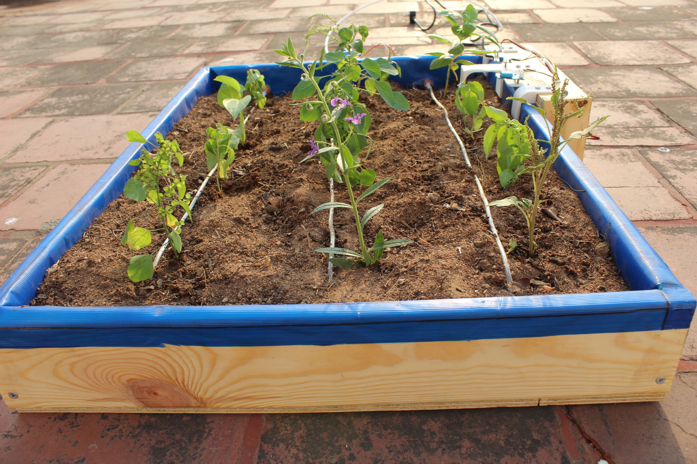 Raspberry Pi Powered IOT Garden : 18 Steps (with Pictures) - Instructables
