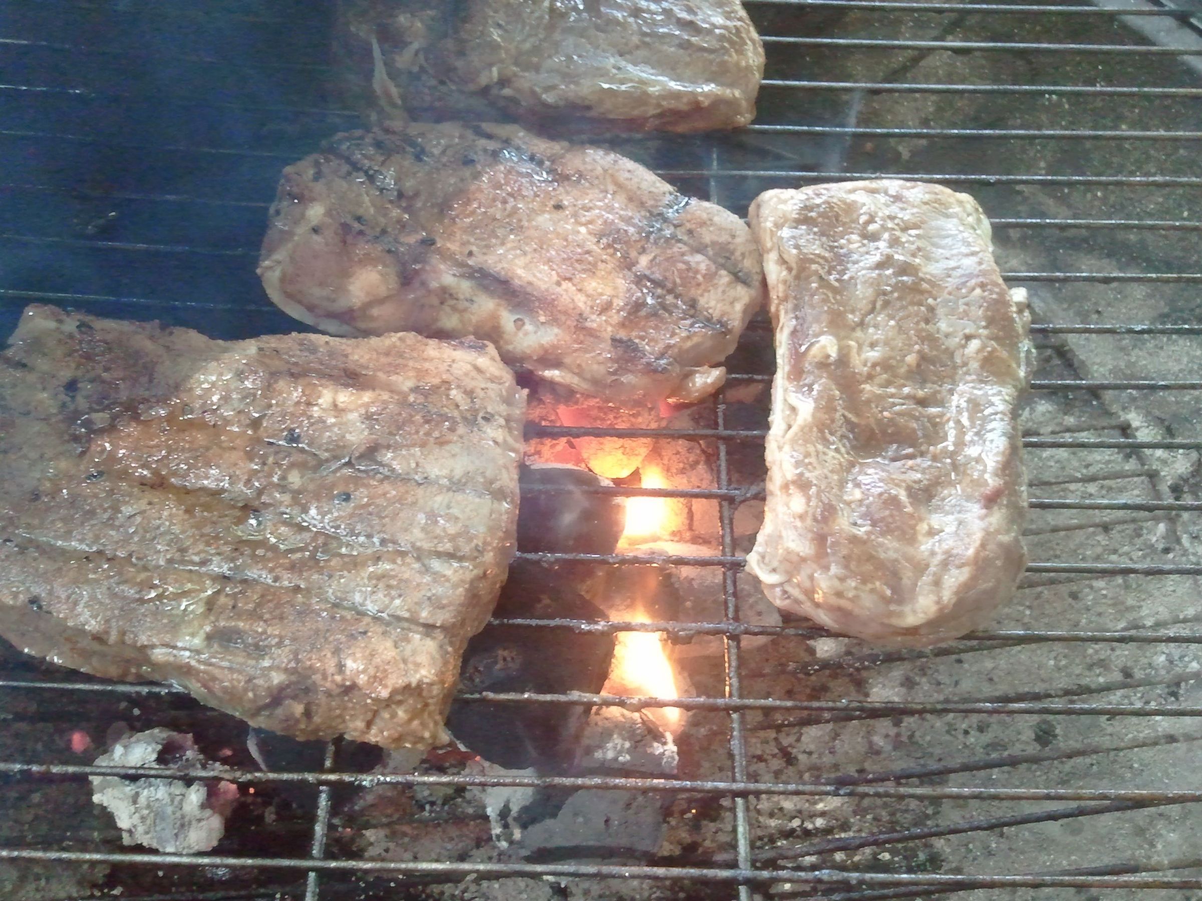 How to "Braai" Meat the South African Way : 8 Steps (with Pictures ...