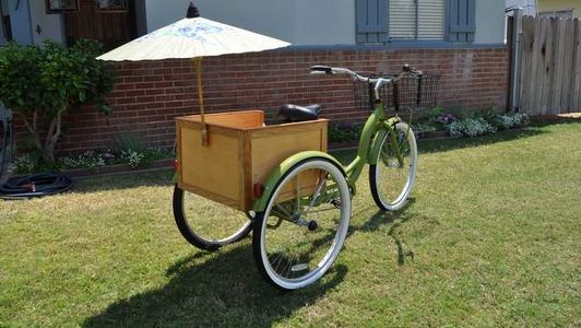 My Rickshaw (with Pictures) - Instructables