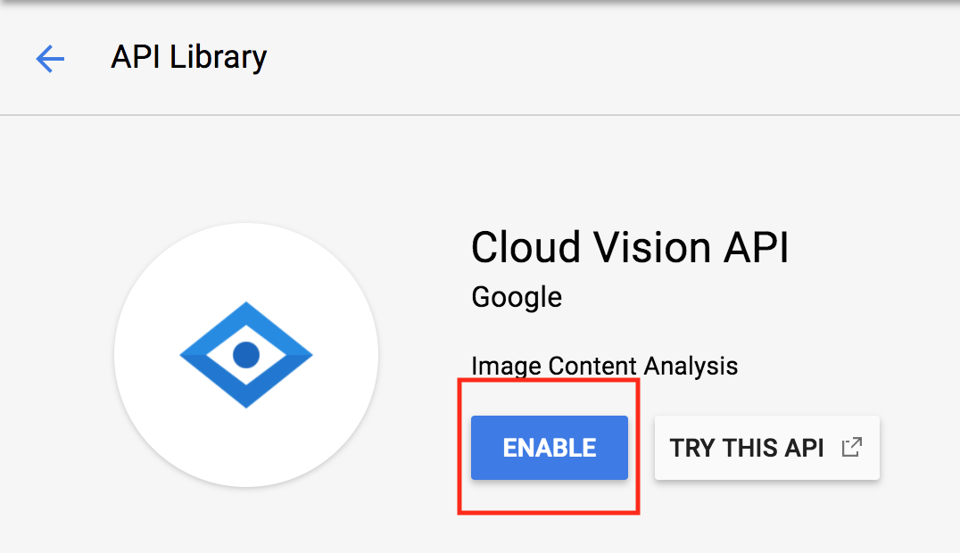 Google Vision API Using Raspberry Pi and Node : 11 Steps - Instructables