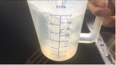 How to Make Kraft Dinner : 7 Steps - Instructables