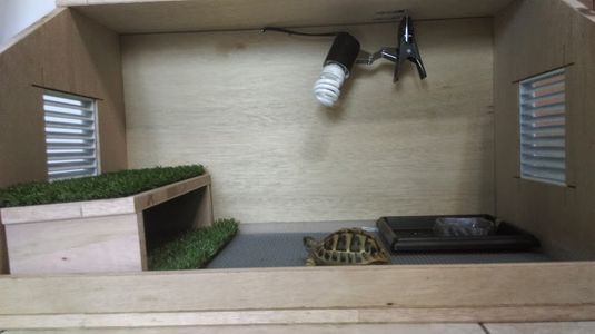 Luxury Tortoise's House : 9 Steps (with Pictures) - Instructables