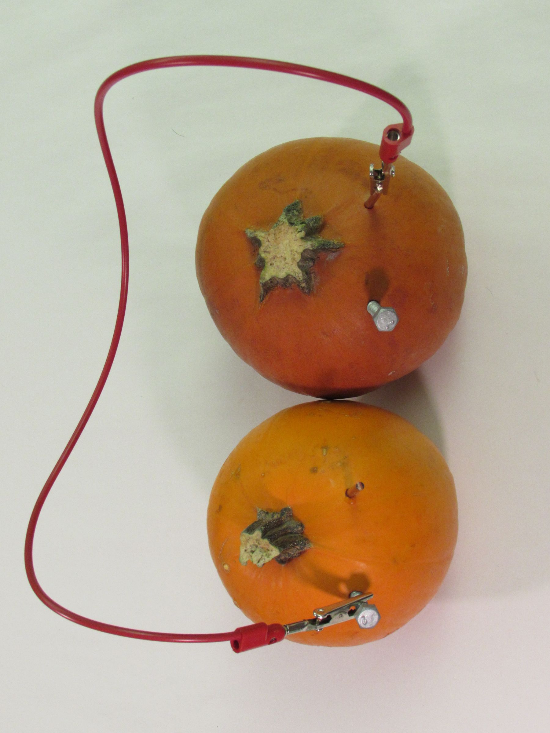 Pumpkin Power! - Battery Made From Pumpkins : 6 Steps (with Pictures ...