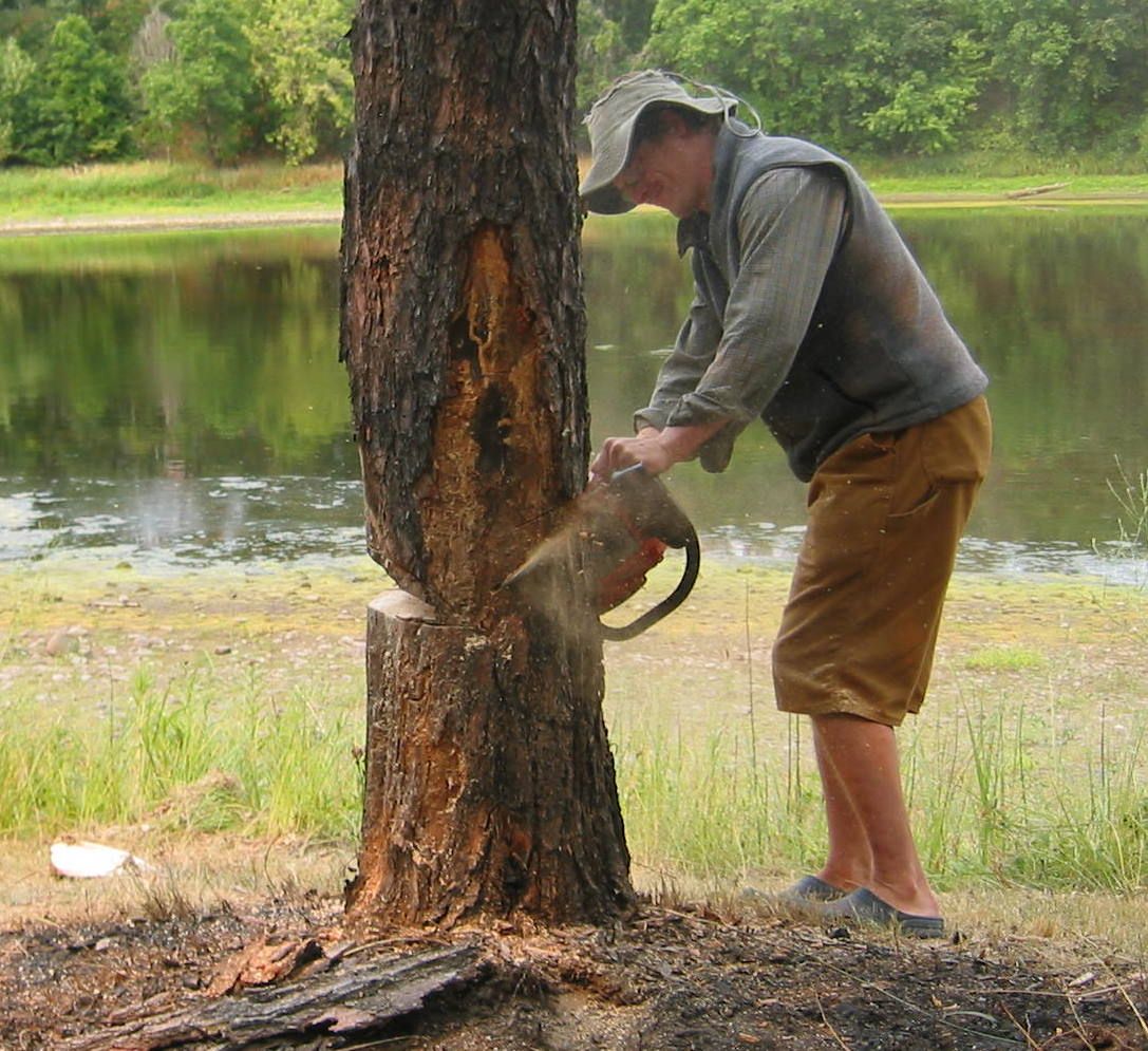 How to Cut Down a Tree : 6 Steps - Instructables