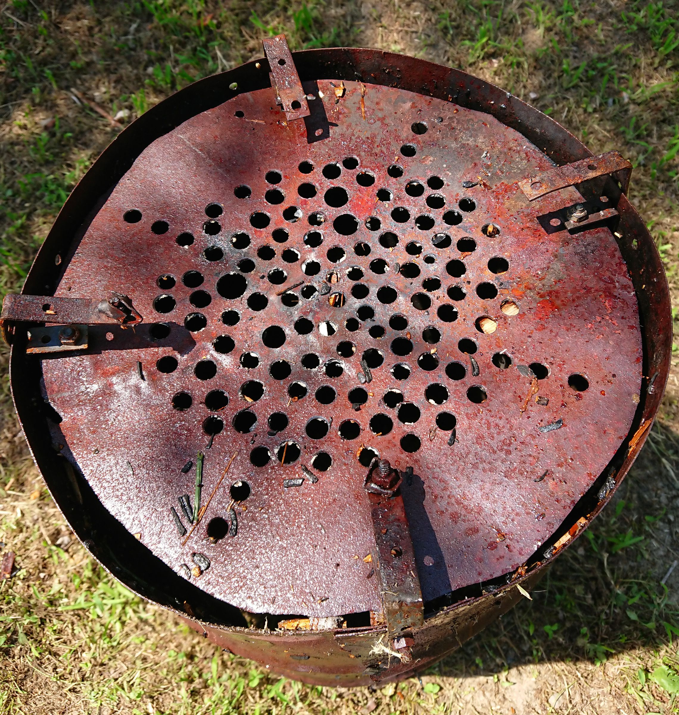 Your Own Carbon Cycle : 16 Steps - Instructables