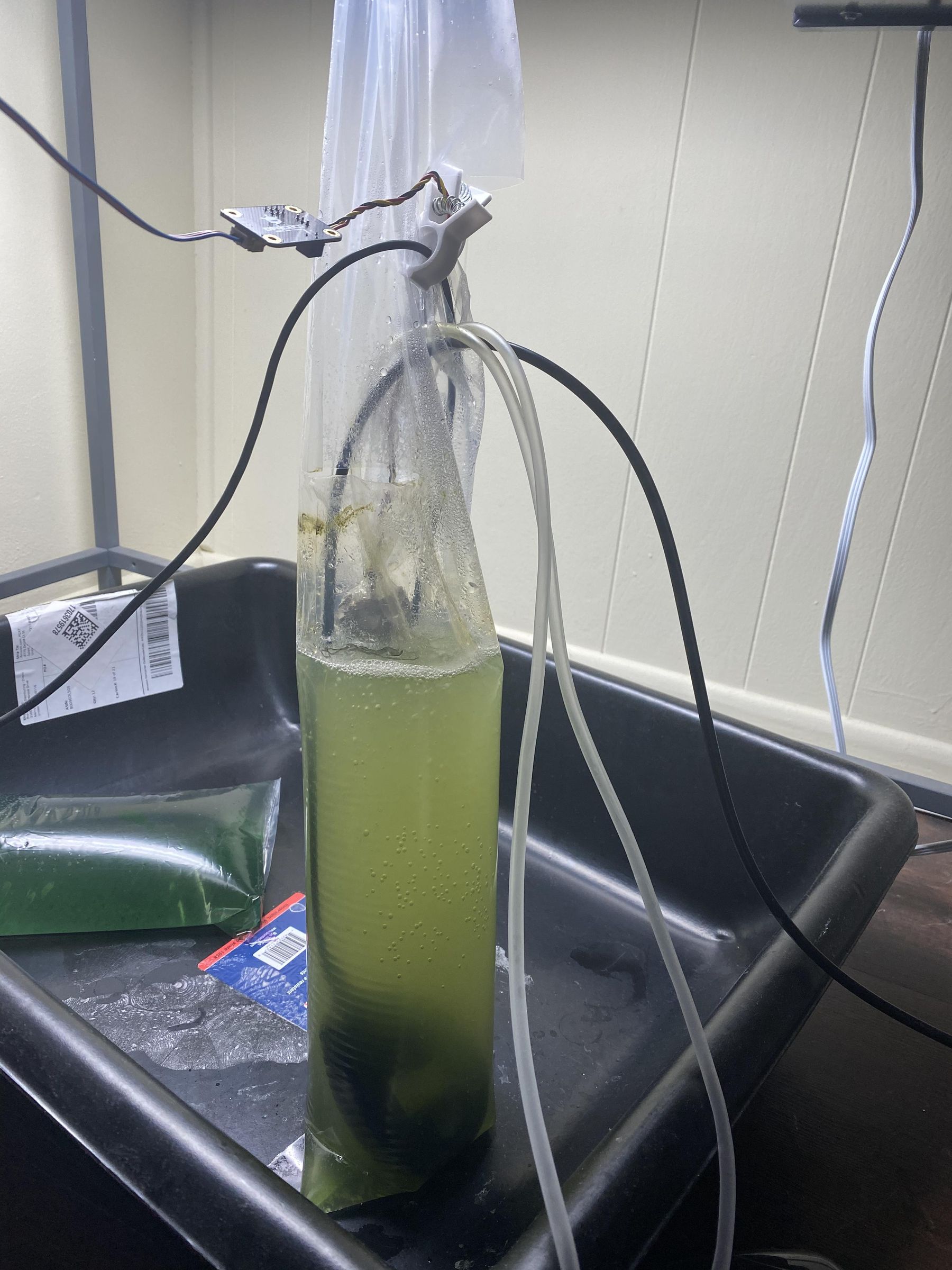 DIY Proof-of-concept Spirulina Photobioreactor to Reduce CO2 Emissions ...