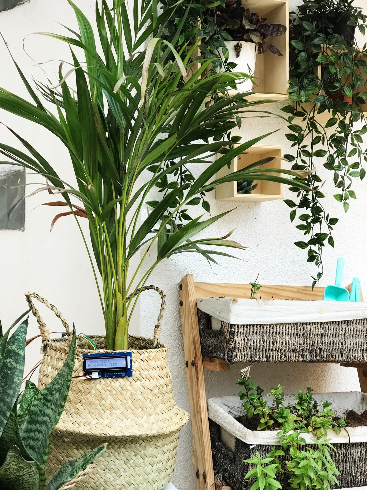 Garduino – the Smart Garden With Arduino : 4 Steps (with Pictures ...