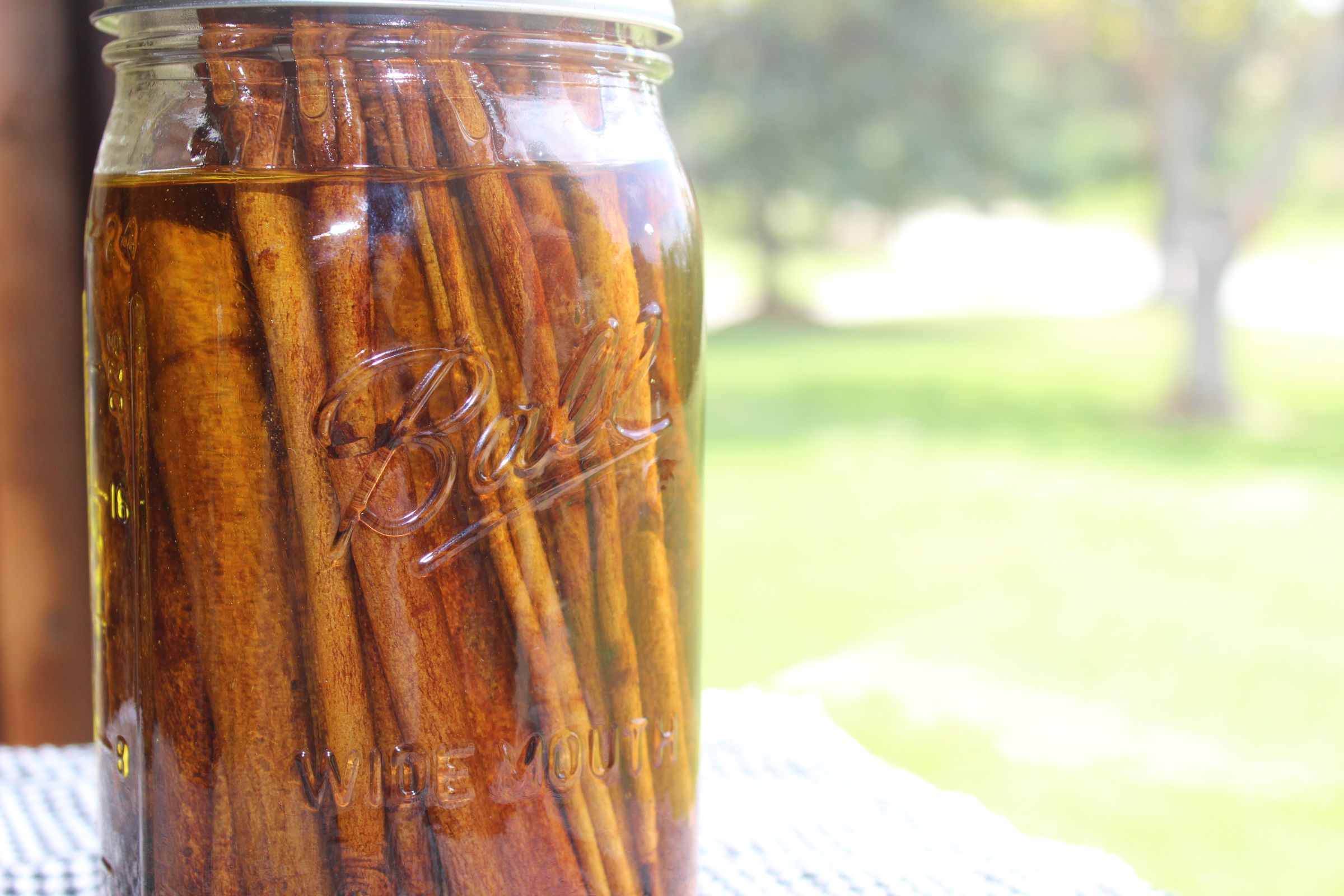 Make Homemade Cinnamon Oil : 4 Steps (with Pictures) - Instructables