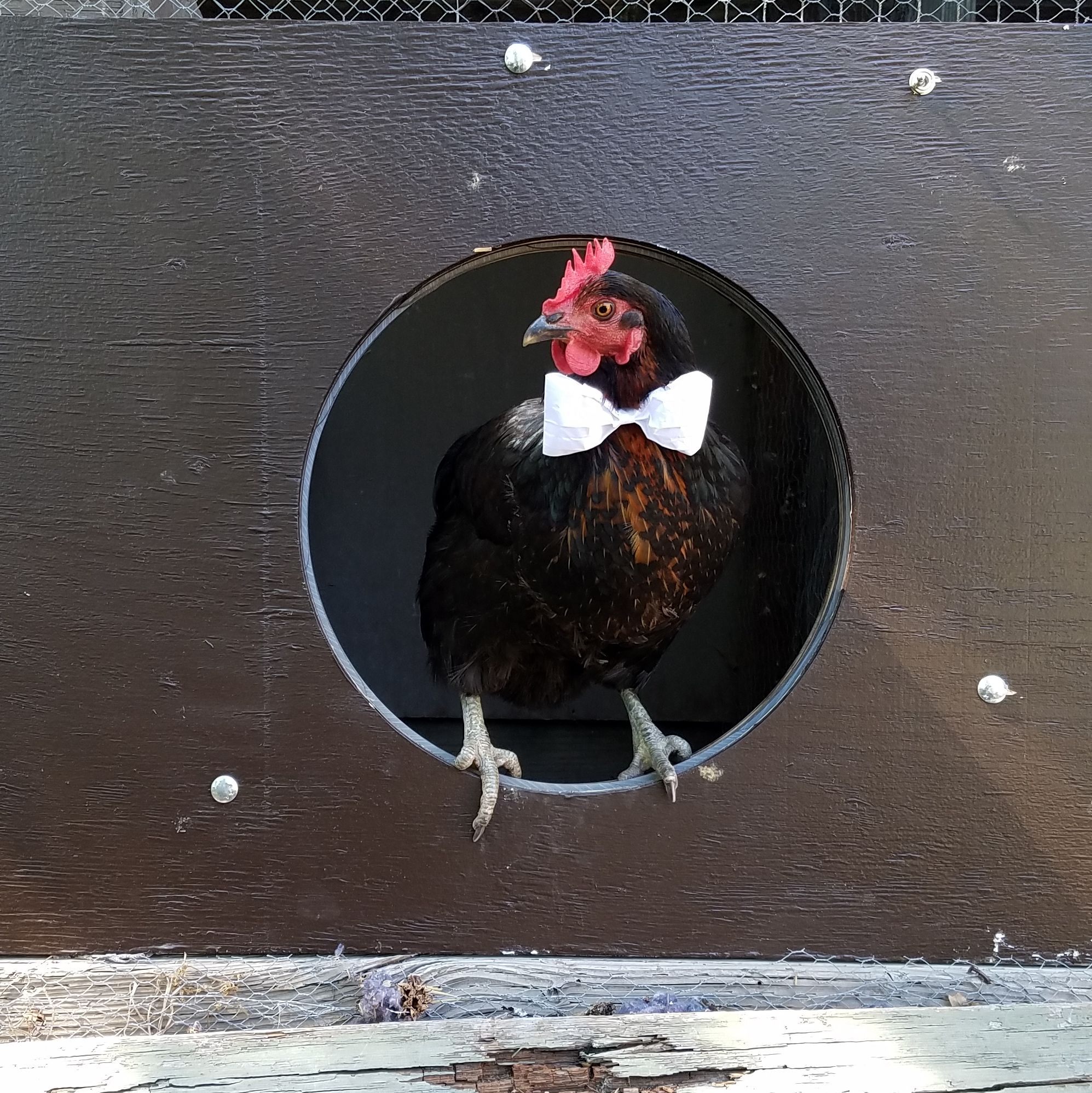 Mechanical Iris Door : 12 Steps (with Pictures) - Instructables