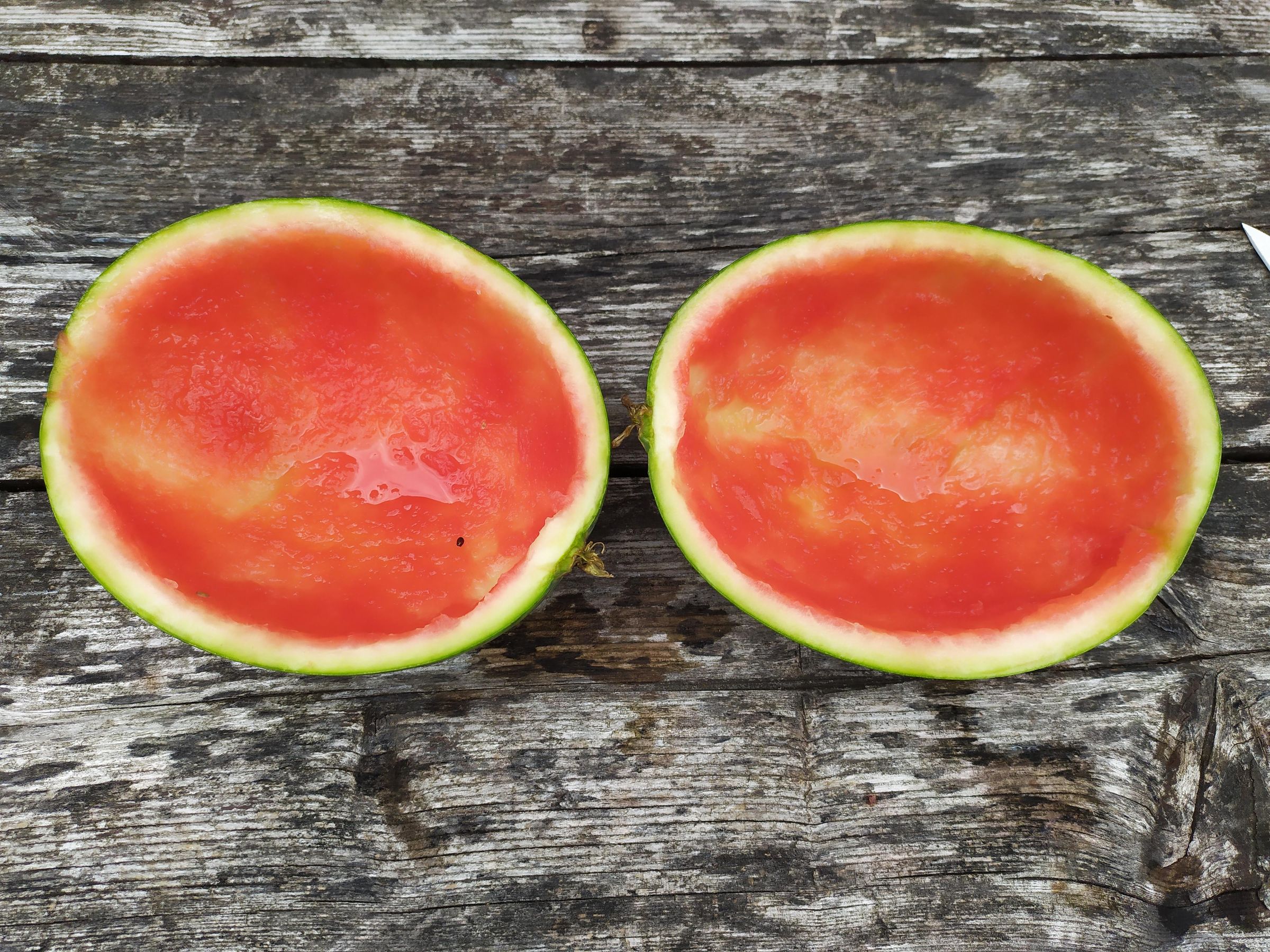Watermelon BBQ : 5 Steps (with Pictures) - Instructables