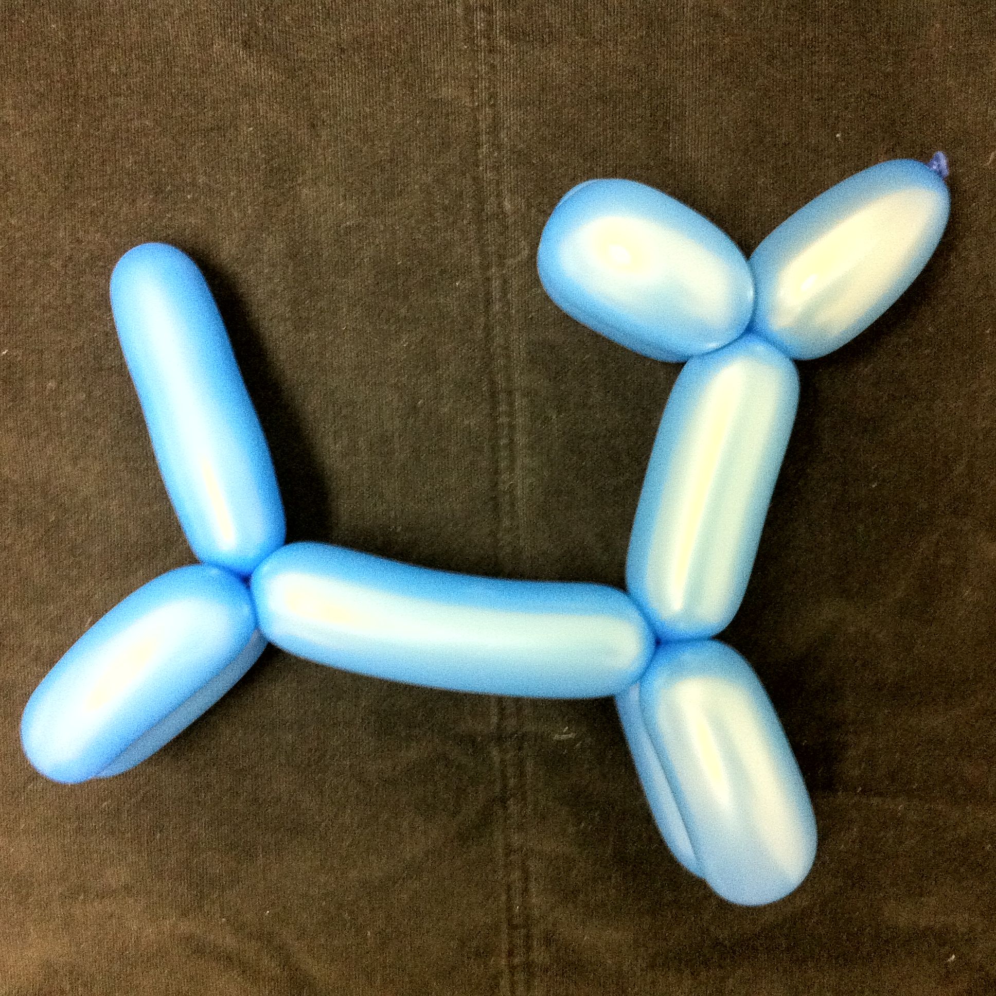 Balloon Animal - DOG : 7 Steps - Instructables