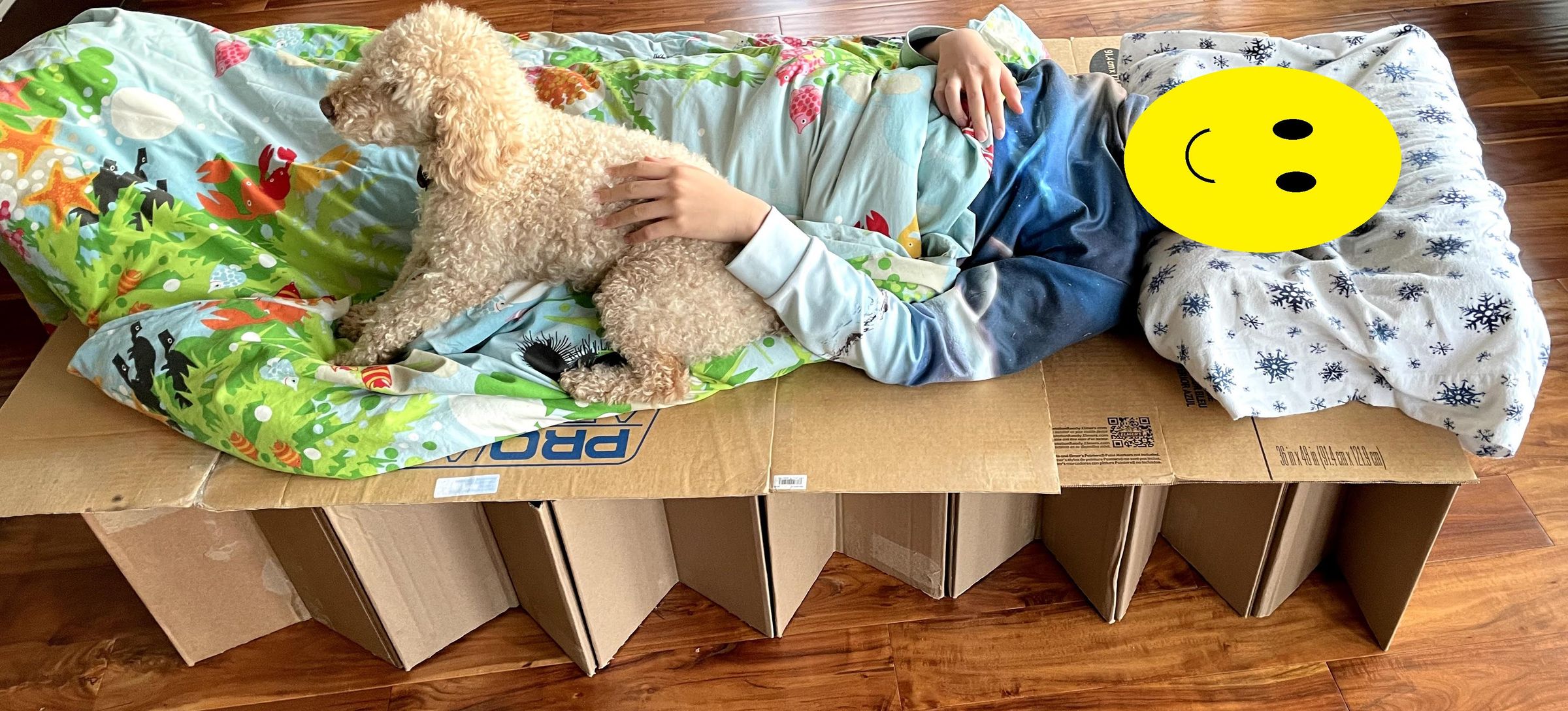 Portable, Flexible Cardboard Box Furniture : 21 Steps (with Pictures ...