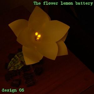 The Tiny Lemon Battery, and Other Designs for Zero Cost Electricity and ...