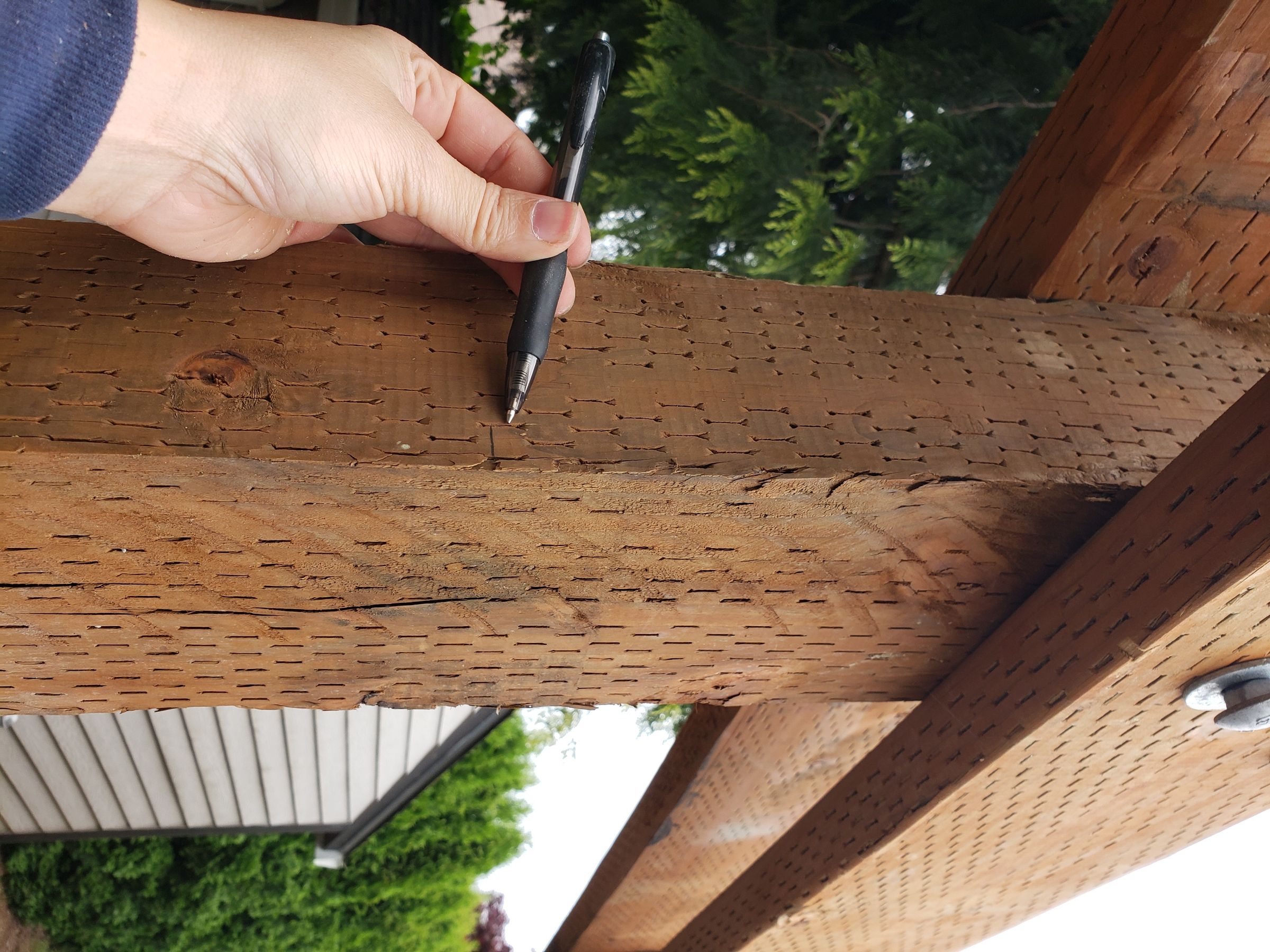 Arbor Arch With Dual Swings : 64 Steps (with Pictures) - Instructables