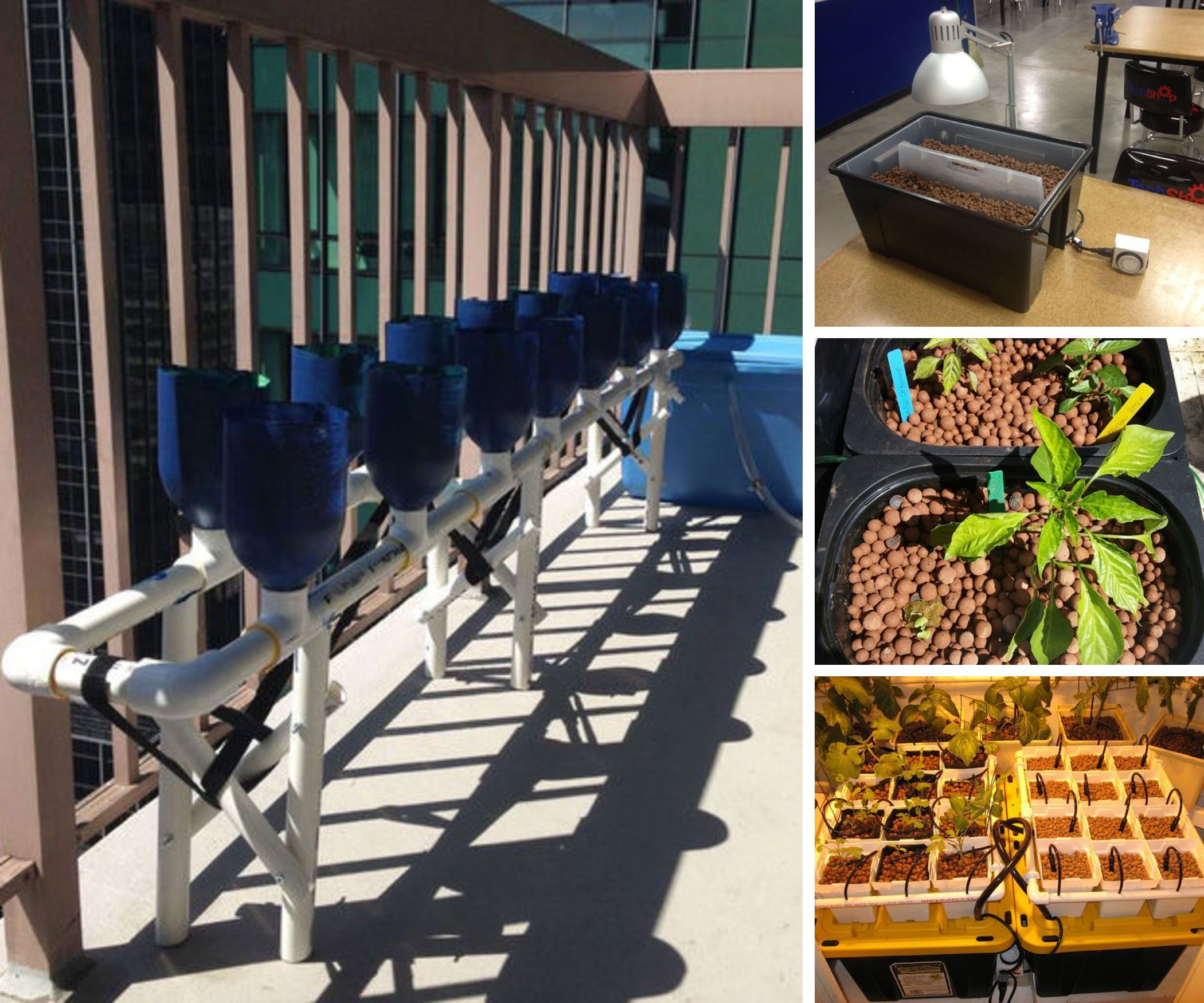 Hydroponics - Instructables