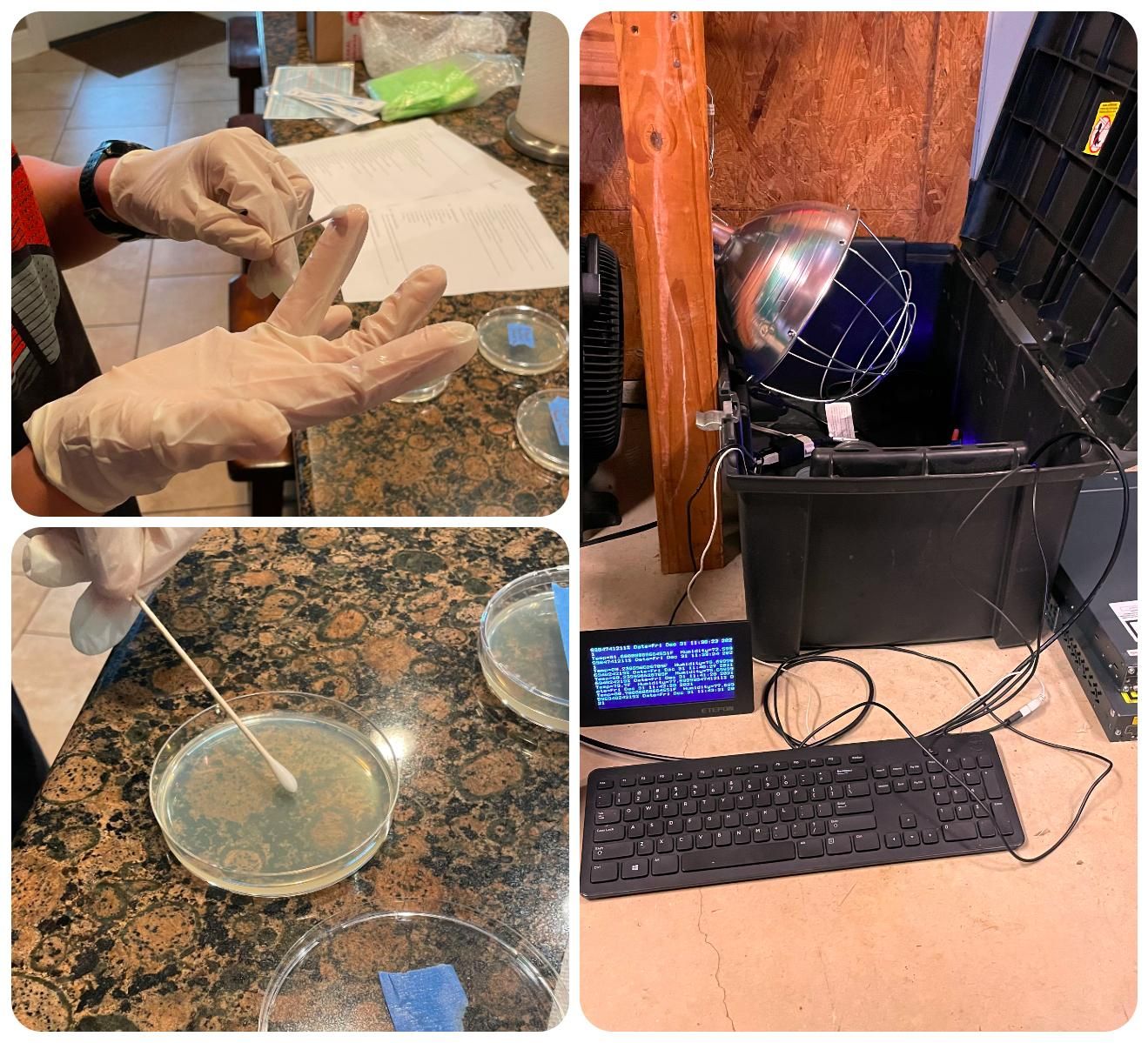 Dirty Hands; the Science Behind Cleaning Your Hands : 14 Steps (with ...