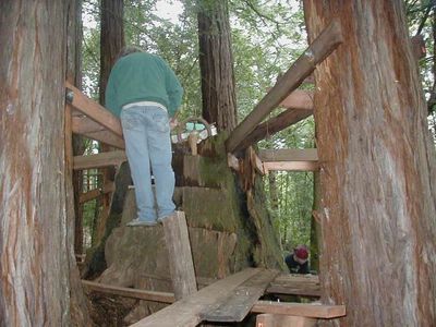 Treehouse : 4 Steps (with Pictures) - Instructables