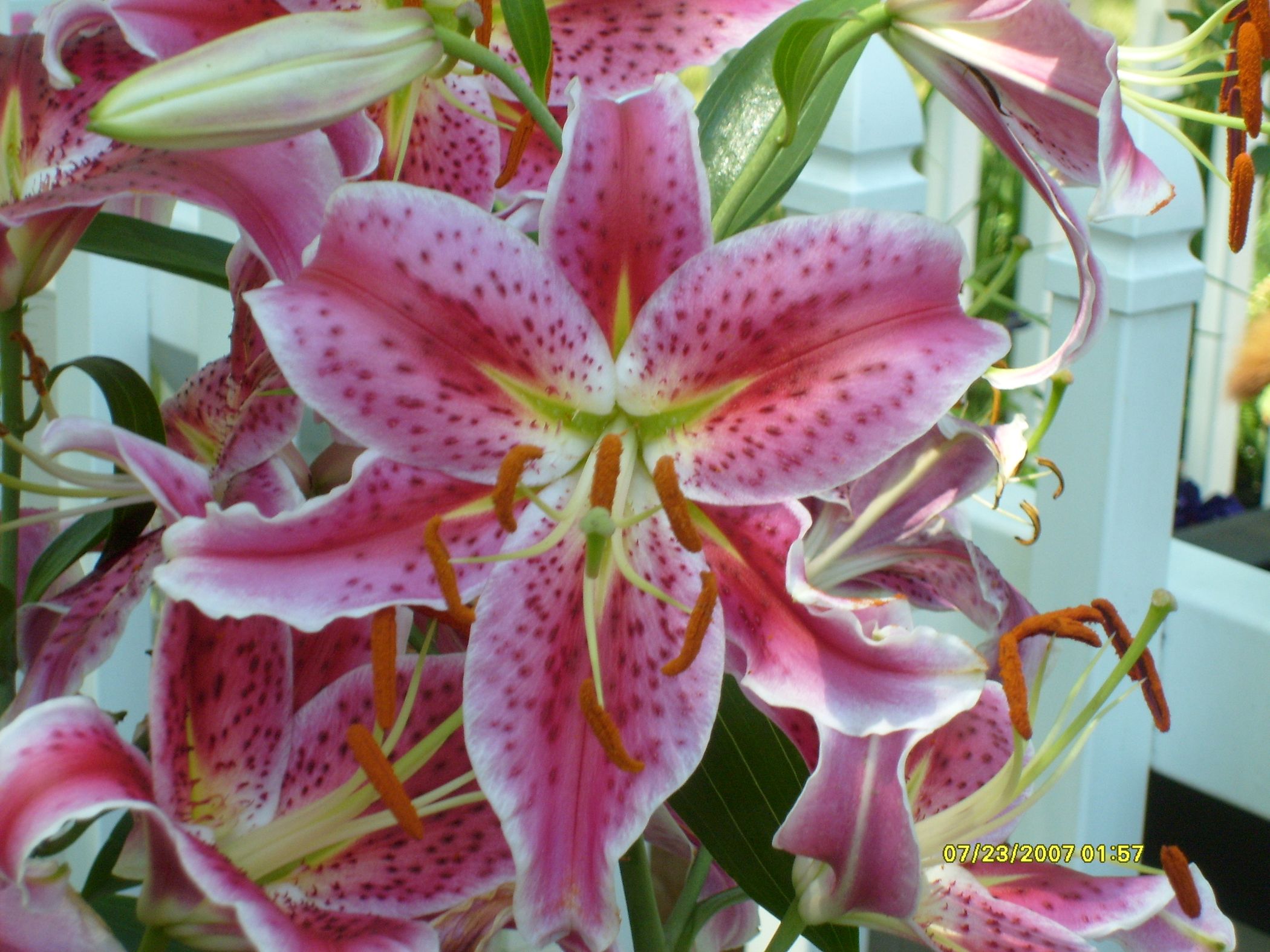 My Stargazer - Instructables